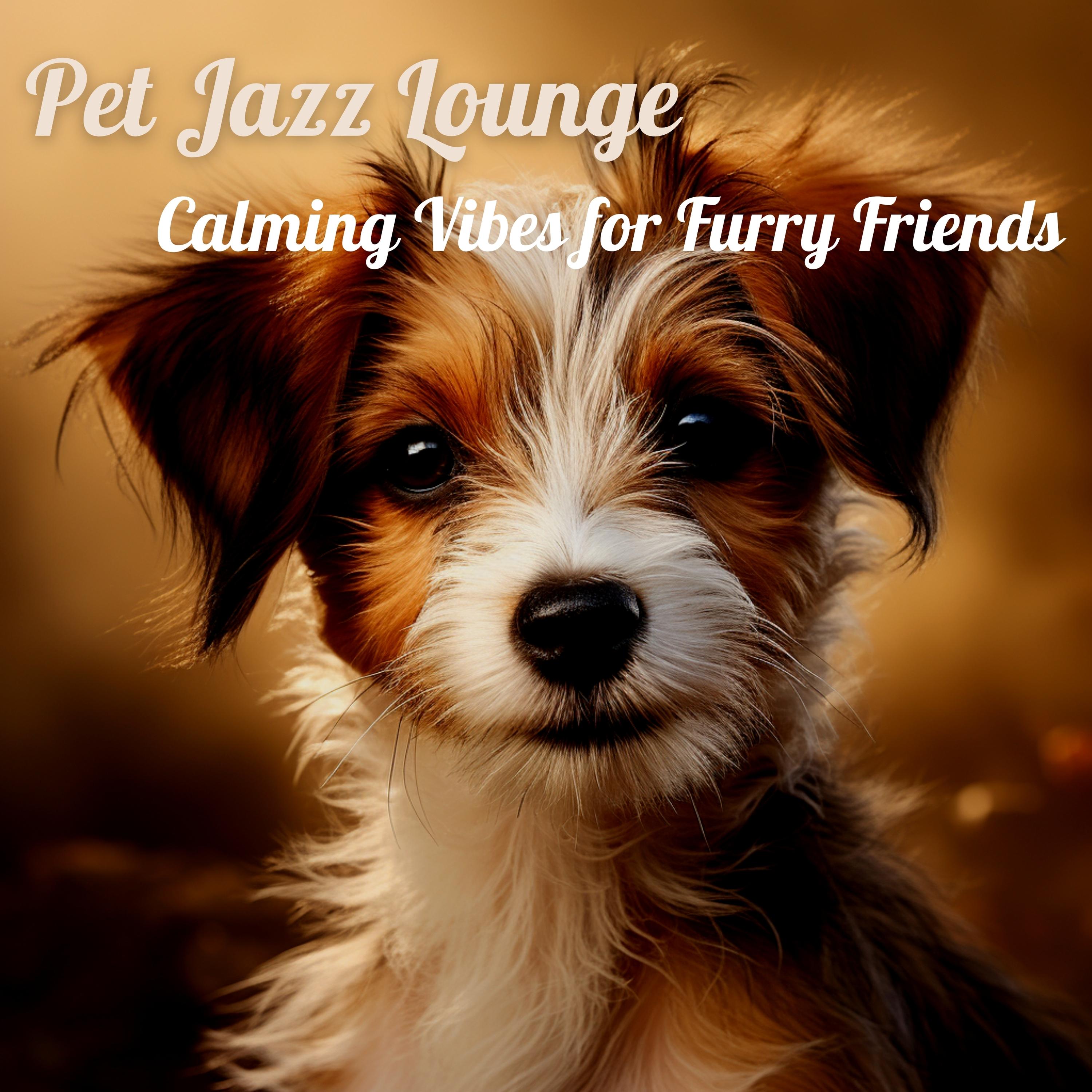 Dog Calming - Dogs Jazz/Jazz Music for Dogs/Calming Dog Jazz - 单曲 - 网易云音乐