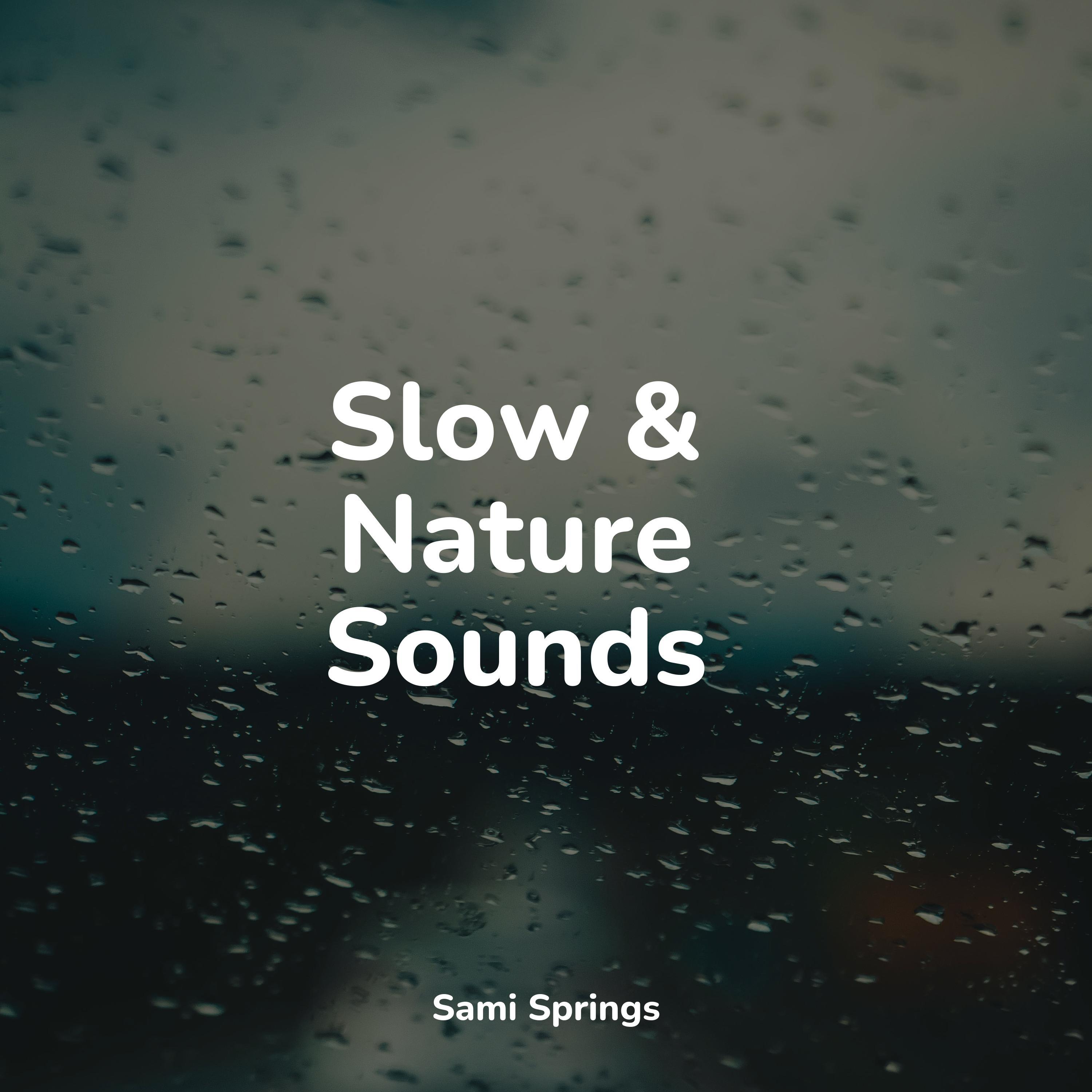 Slow & Nature Sounds - Música relaxante - 专辑 - 网易云音乐