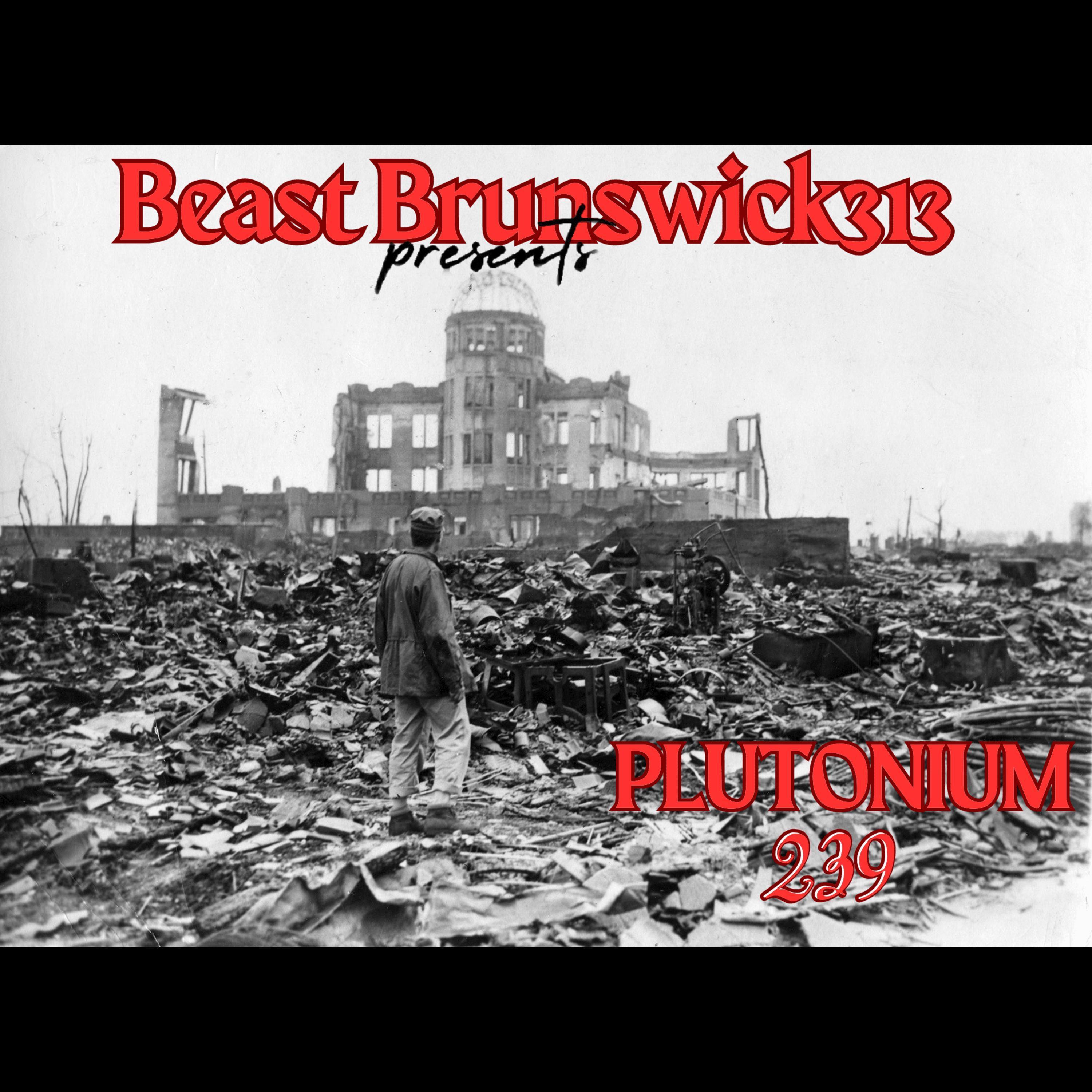 PLUTONIUM 239 - BeastBrunswick313 - 专辑 - 网易云音乐