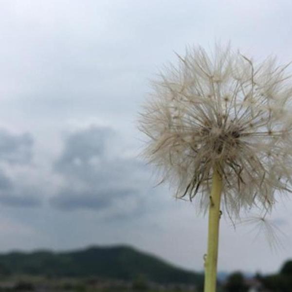 Ambient Label Recommand Vol.1 - 专栏文章 - 网易云音乐