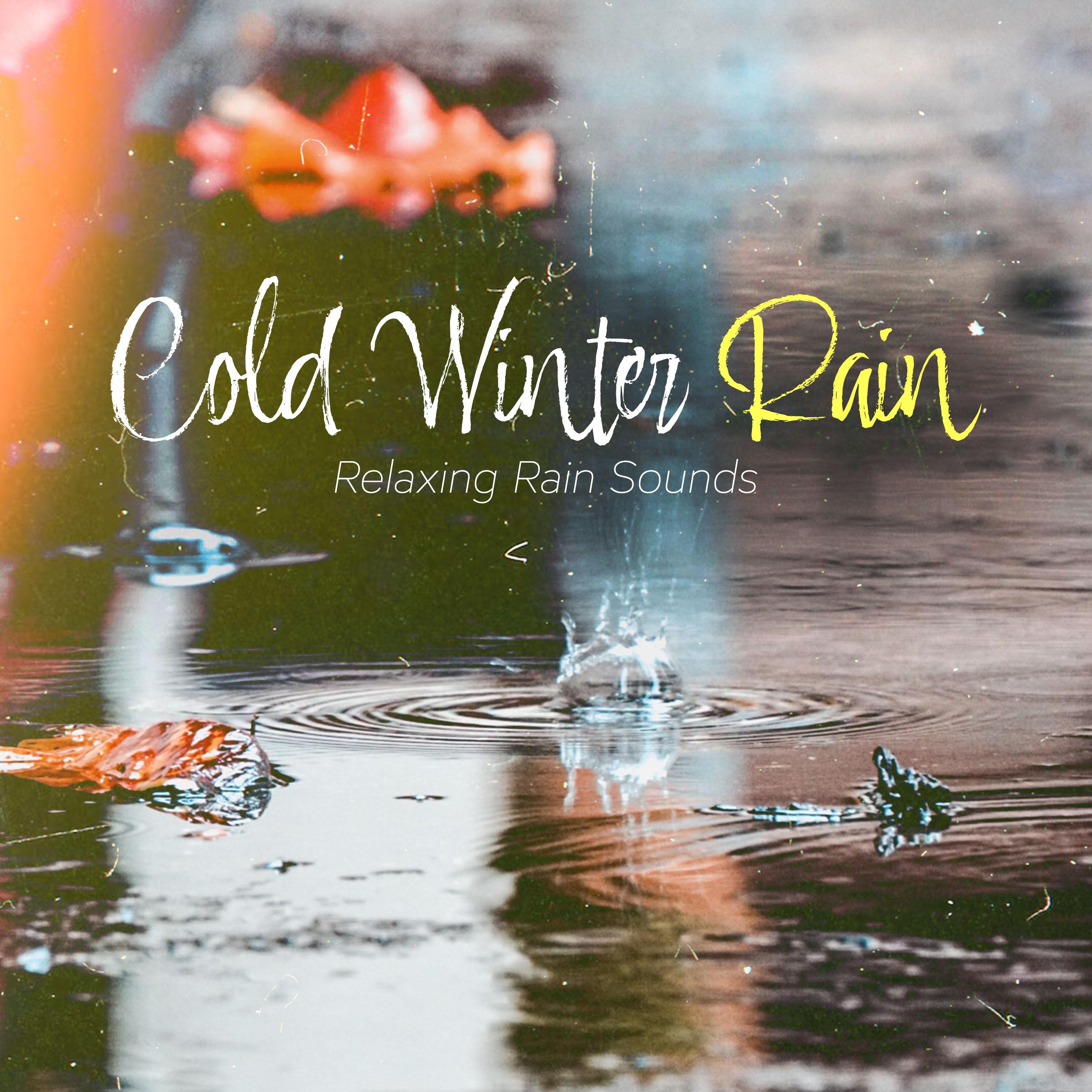 Muffled Raindrops - Relaxing Rain Sounds - 单曲 - 网易云音乐