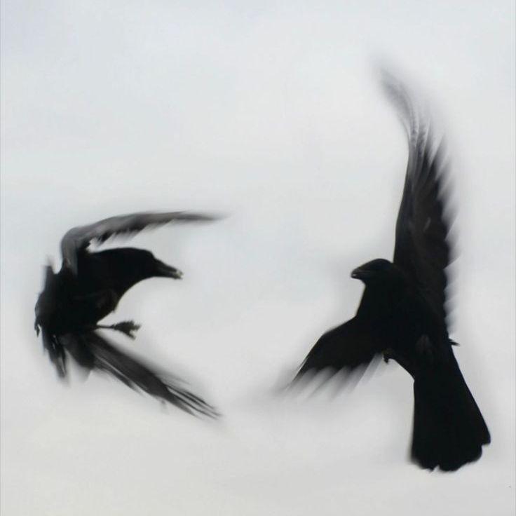 "西行" 孟菲斯 x 连麻Swimming x GAI周延 Type Beat - Rbry - 单曲 - 网易云音乐