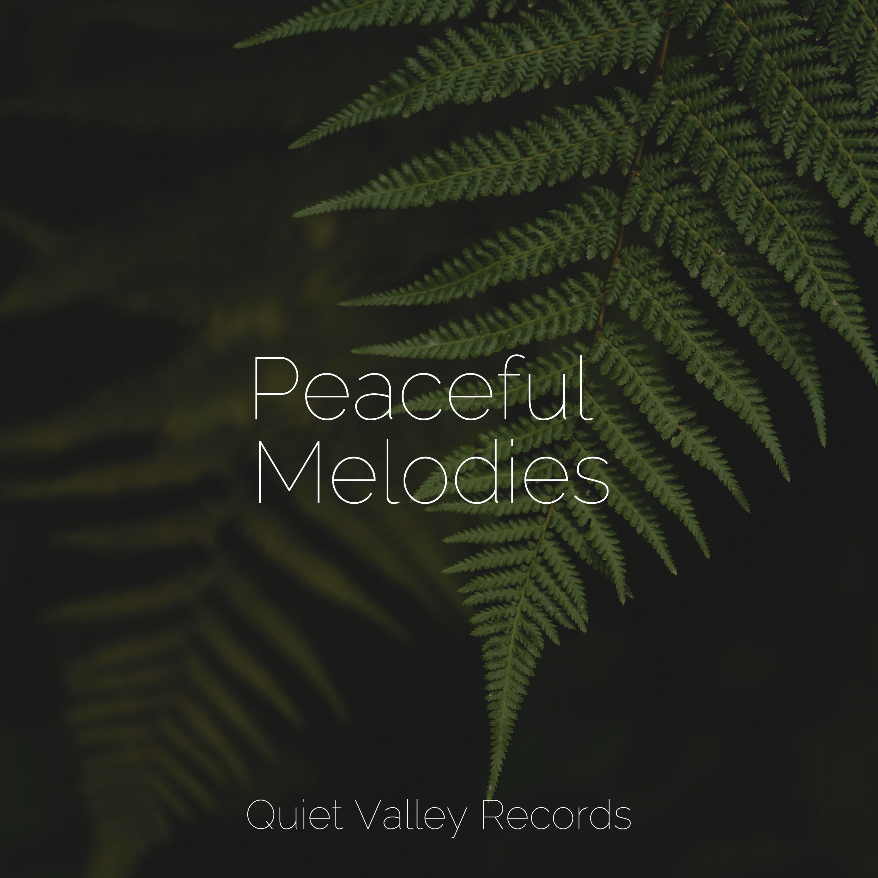 A State of Calm - Sounds of Nature Relaxation/Sounds of Nature for Deep ...