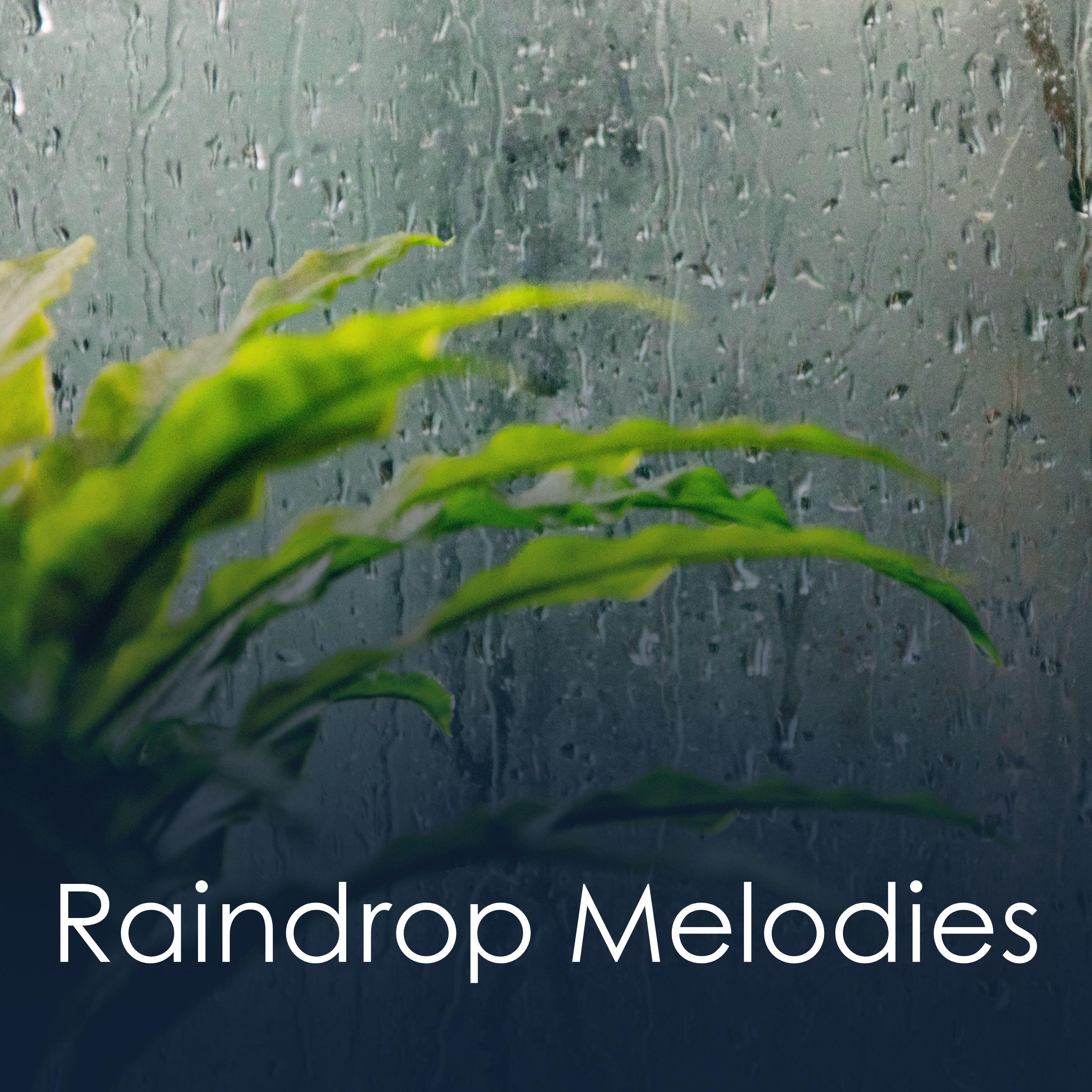 Raindrop Melodies - Raindrops Sleep - 专辑 - 网易云音乐