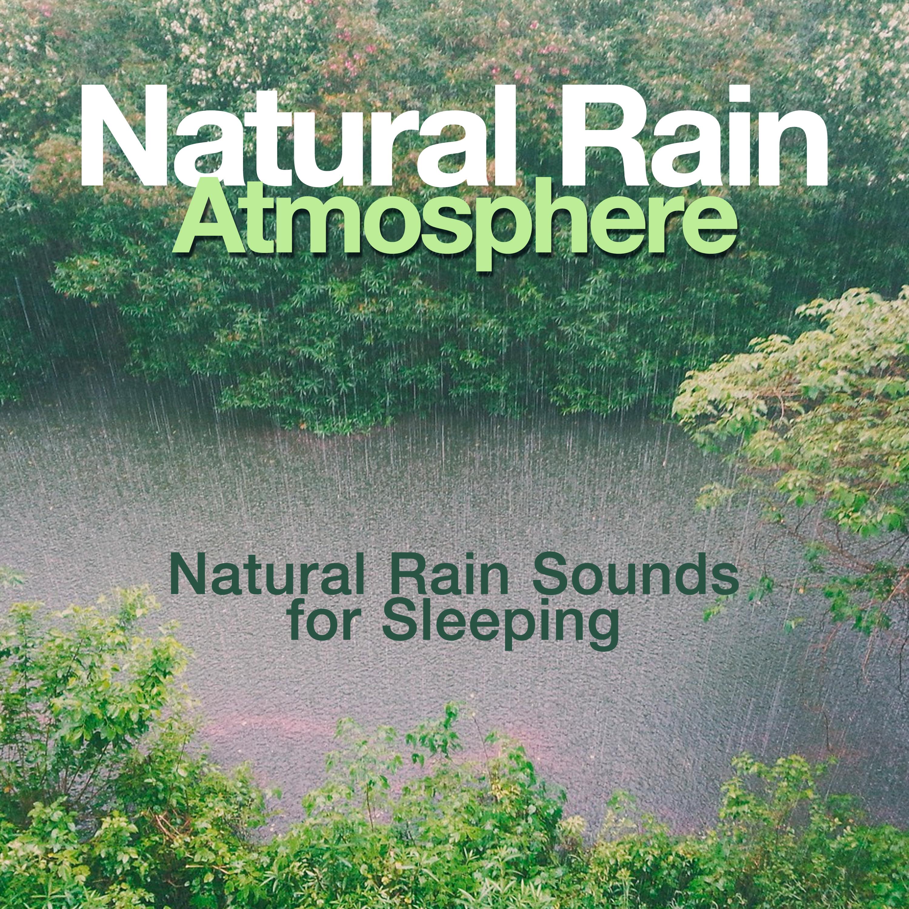 Forest Spring - Natural Rain Sounds for Sleeping - 单曲 - 网易云音乐