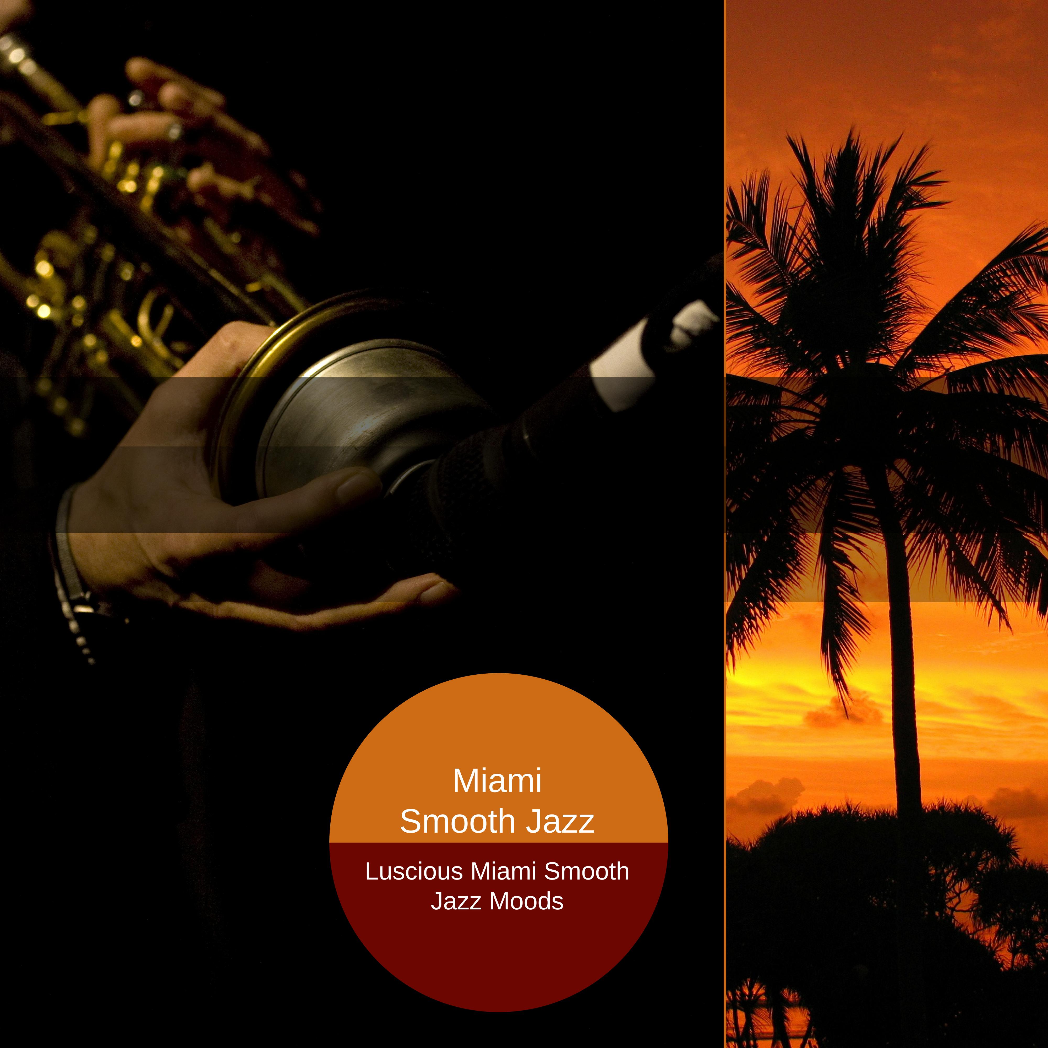 Ambience for Being Cool in Florida - Miami Smooth Jazz - 单曲 - 网易云音乐