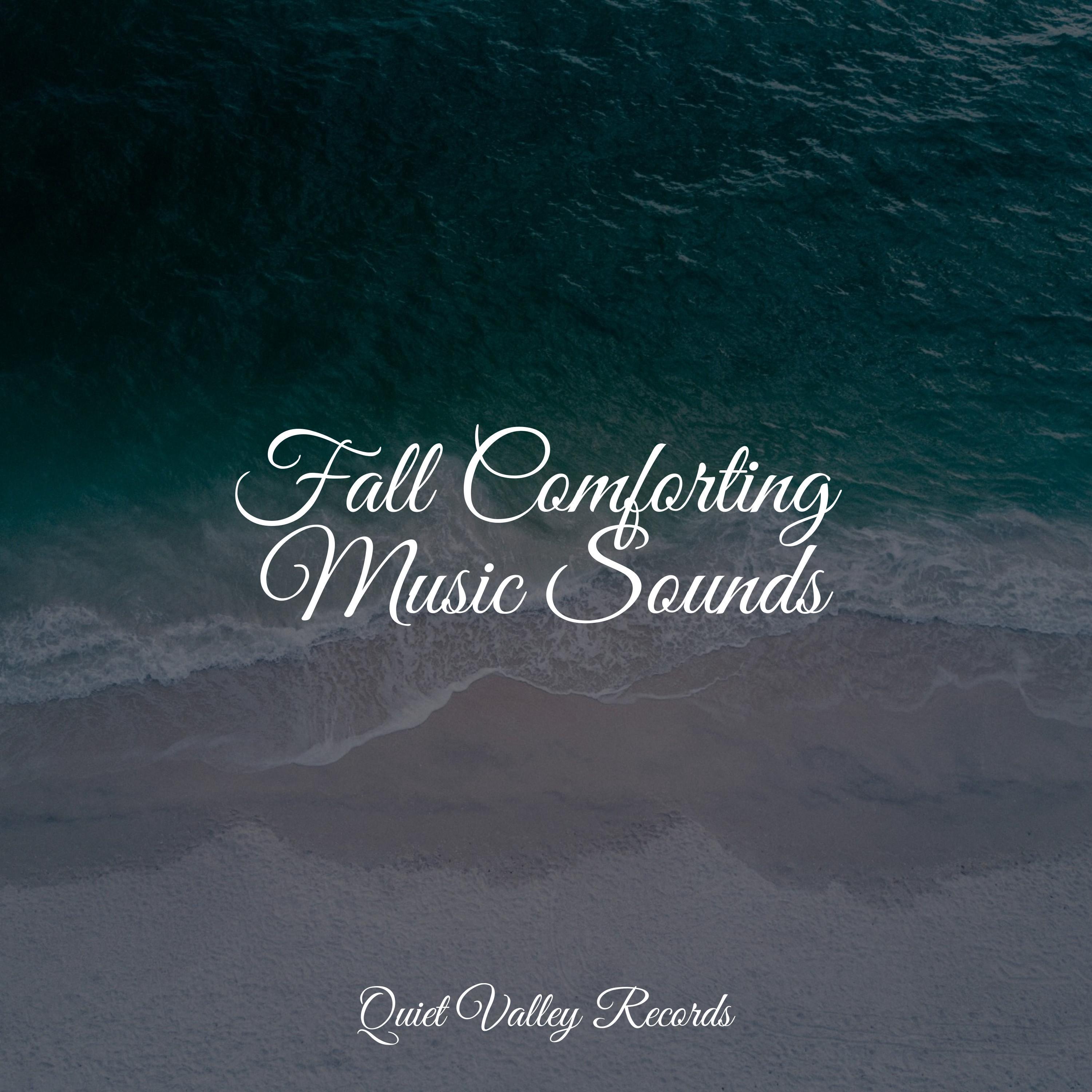 Fall Comforting Music Sounds - Relaxing Nature Ambience - 专辑 - 网易云音乐