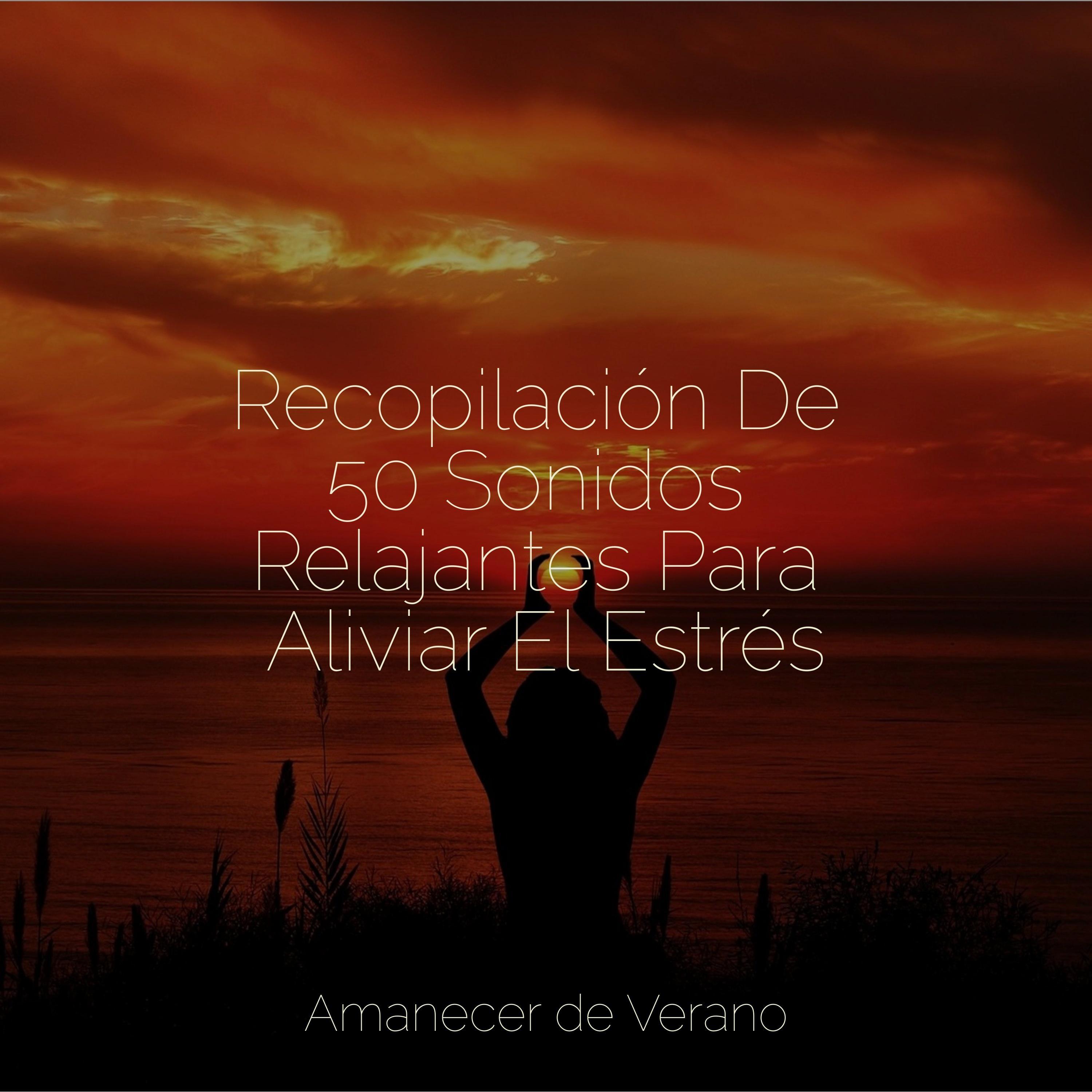 Viaje a la Oasis Iluminada por la Luna - Zen Music Garden/Rockabye ...