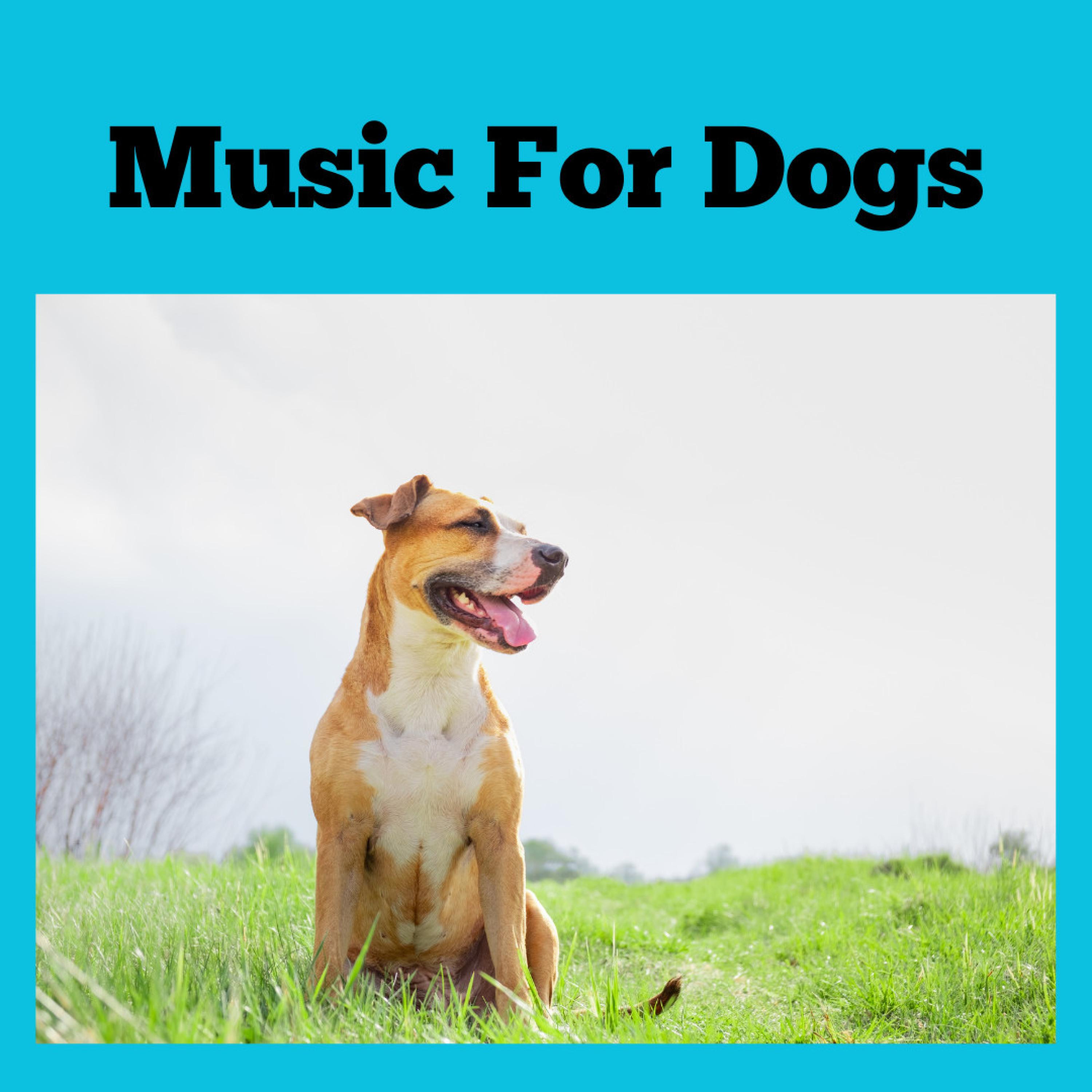 Peaceful Sounds - Music For Dogs/Music For Dogs Peace/Relaxing Puppy ...