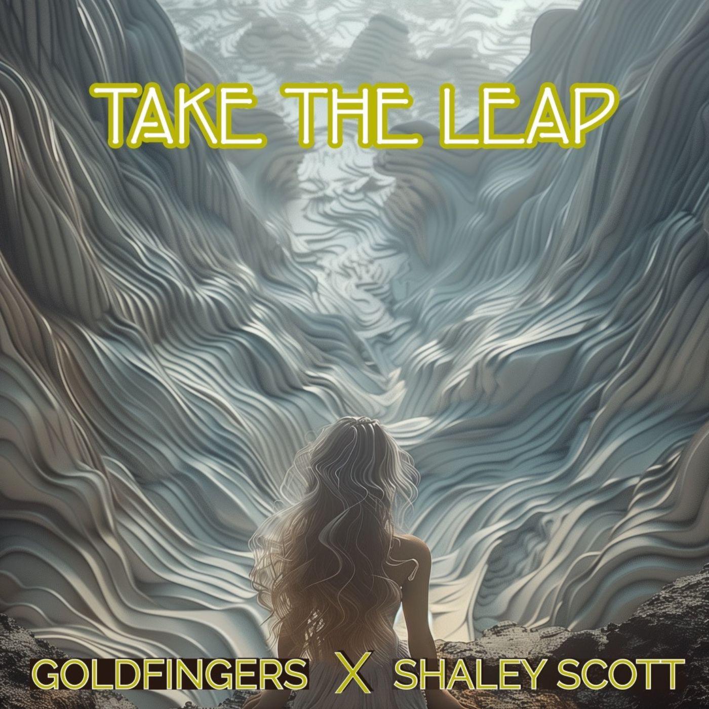 Take The Leap (Craig J. Snider Instrumental Radio Edit) - Goldfingers ...