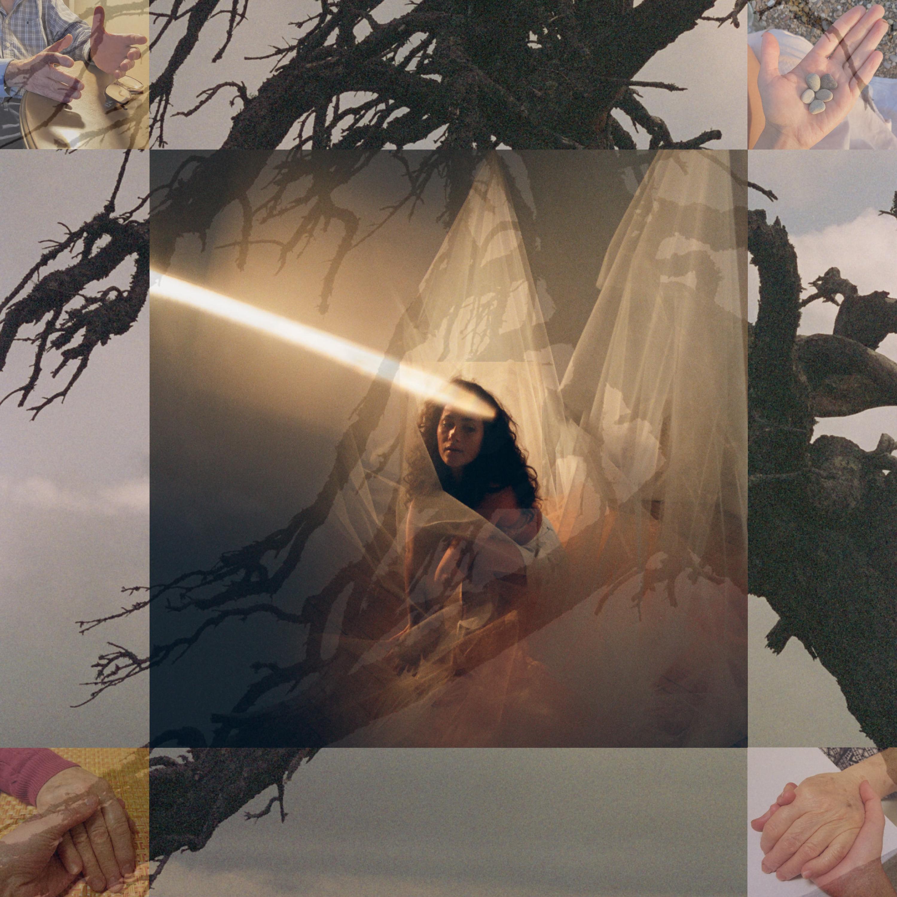 Sever Ties - Niika - 专辑 - 网易云音乐