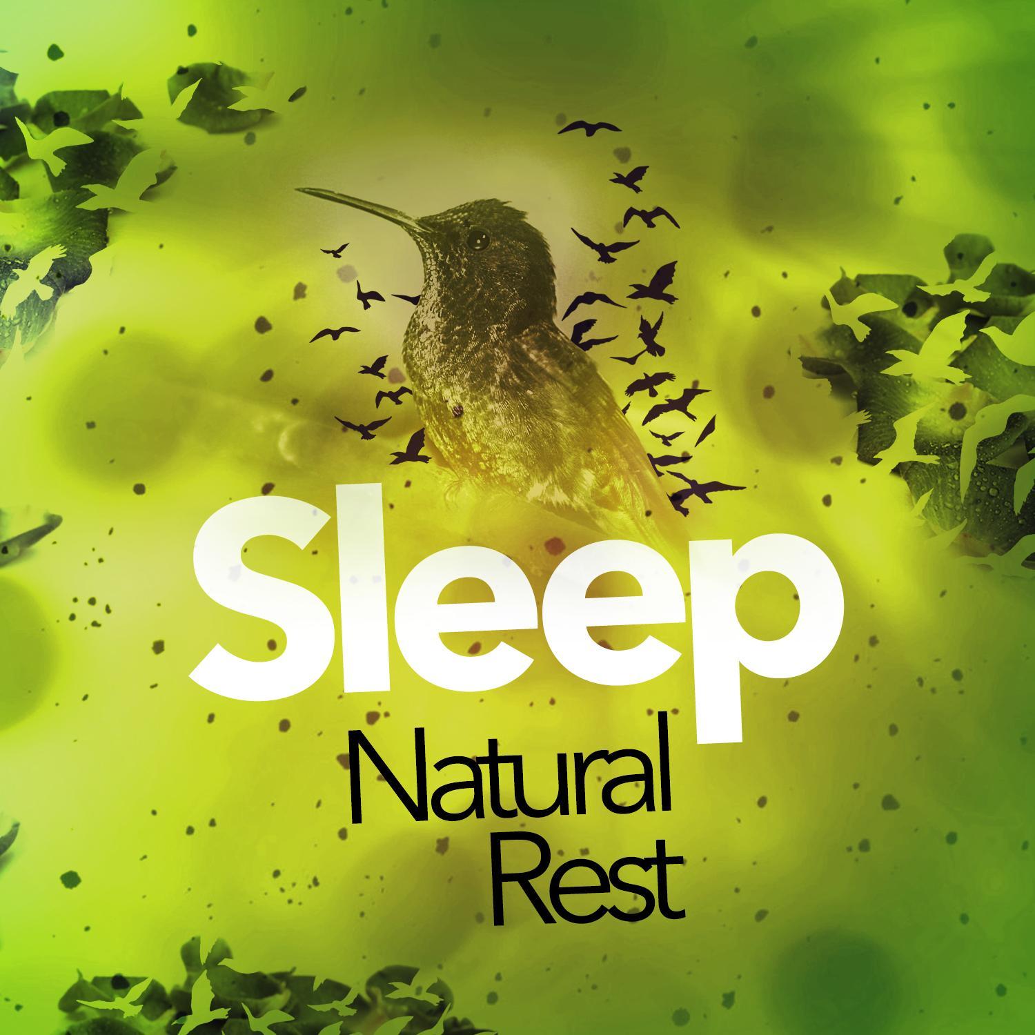 Sleep: Natural Rest - Deep Sleep Nature Sounds - 专辑 - 网易云音乐