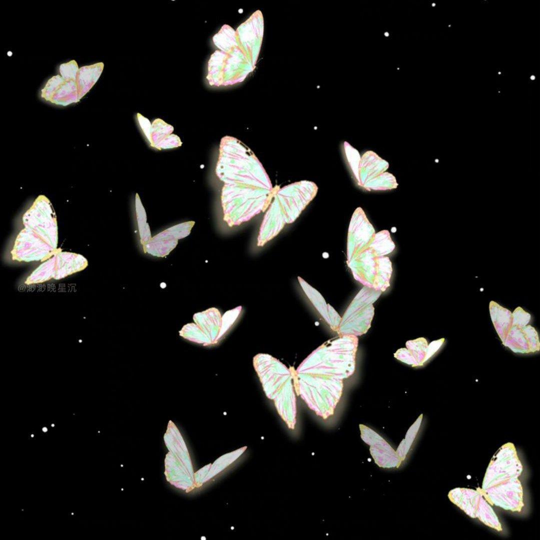 DZ know - 歌单 - 网易云音乐