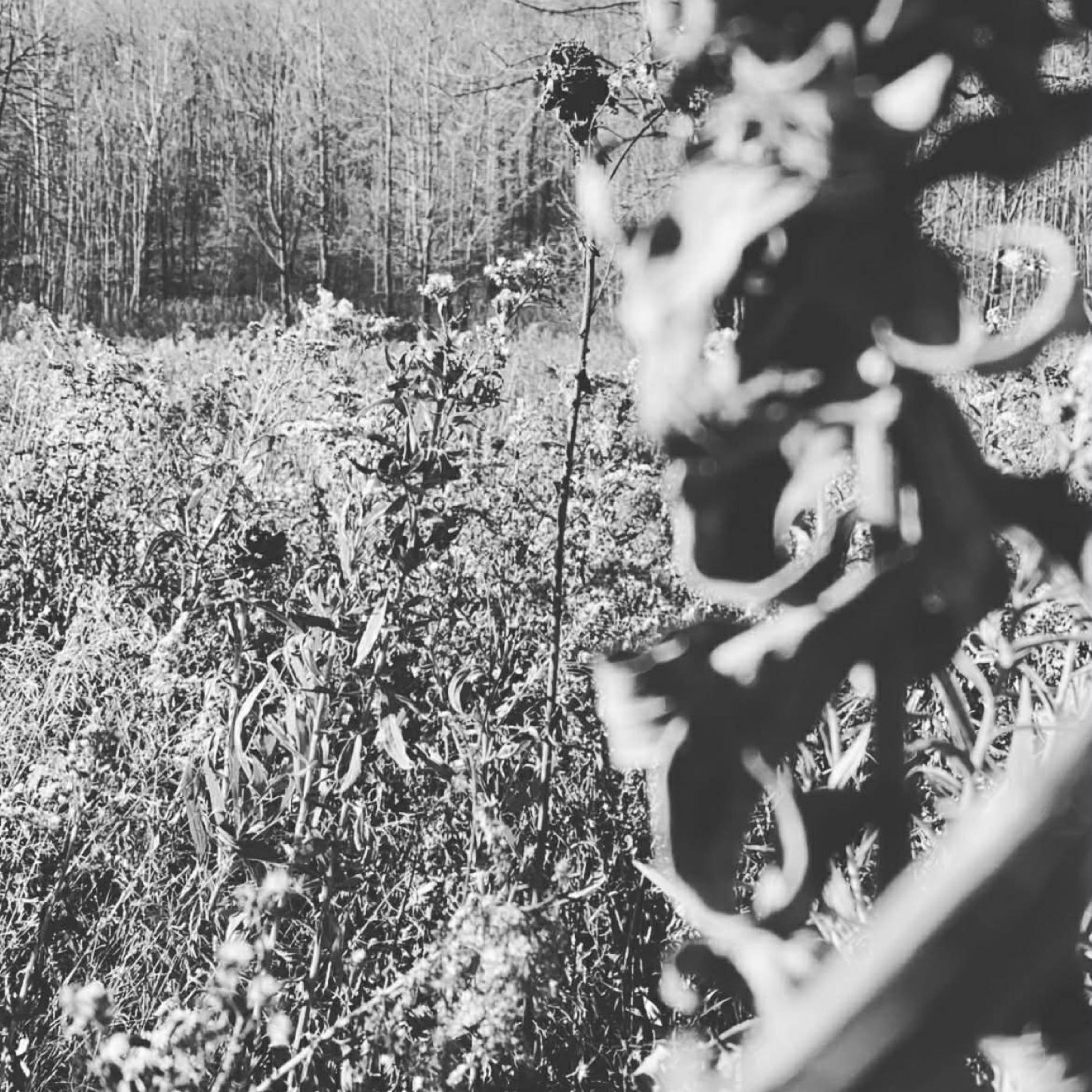 You've Wasted Years - Maybe - 单曲 - 网易云音乐