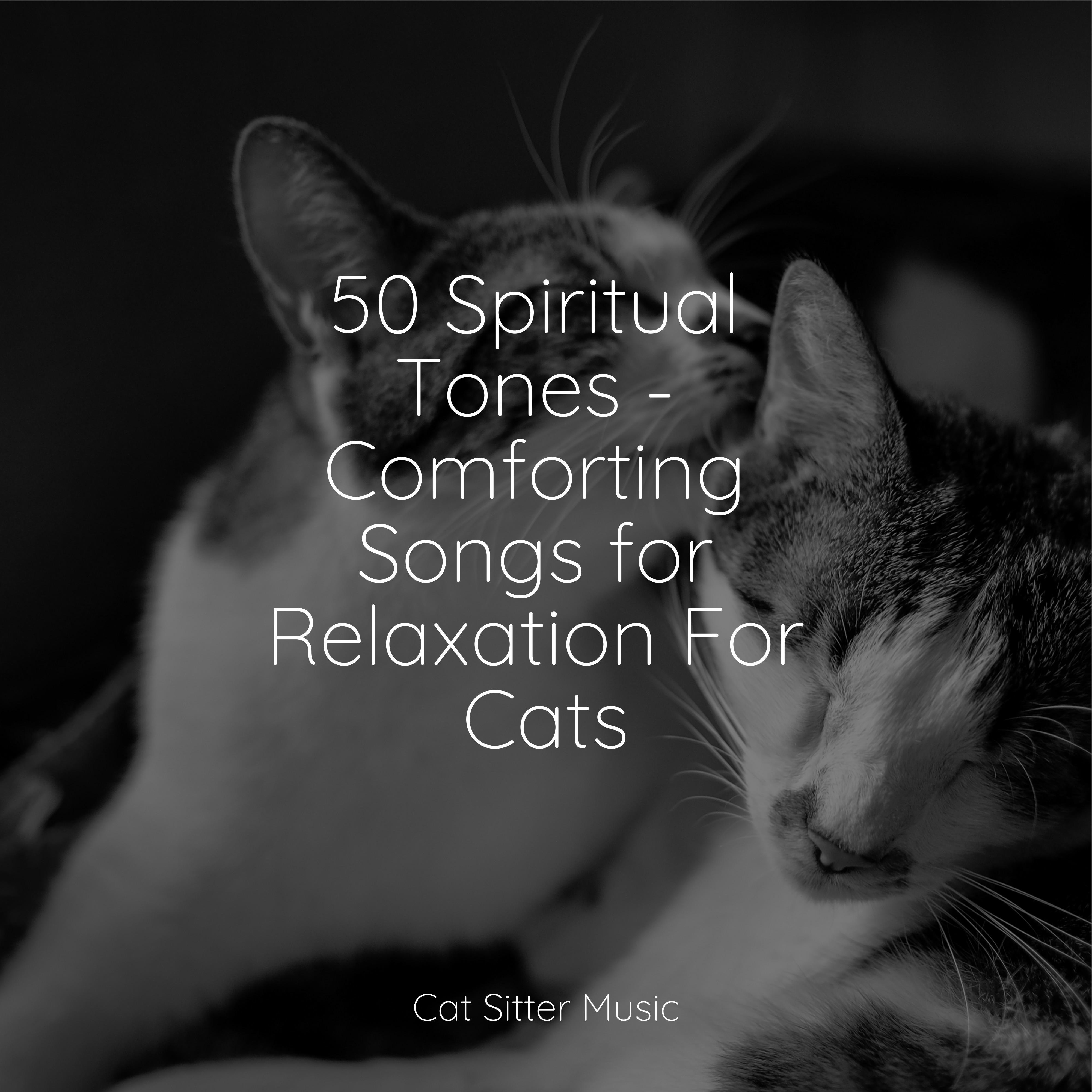 50 Spiritual Tones - Comforting Songs for Relaxation For Cats - Music ...