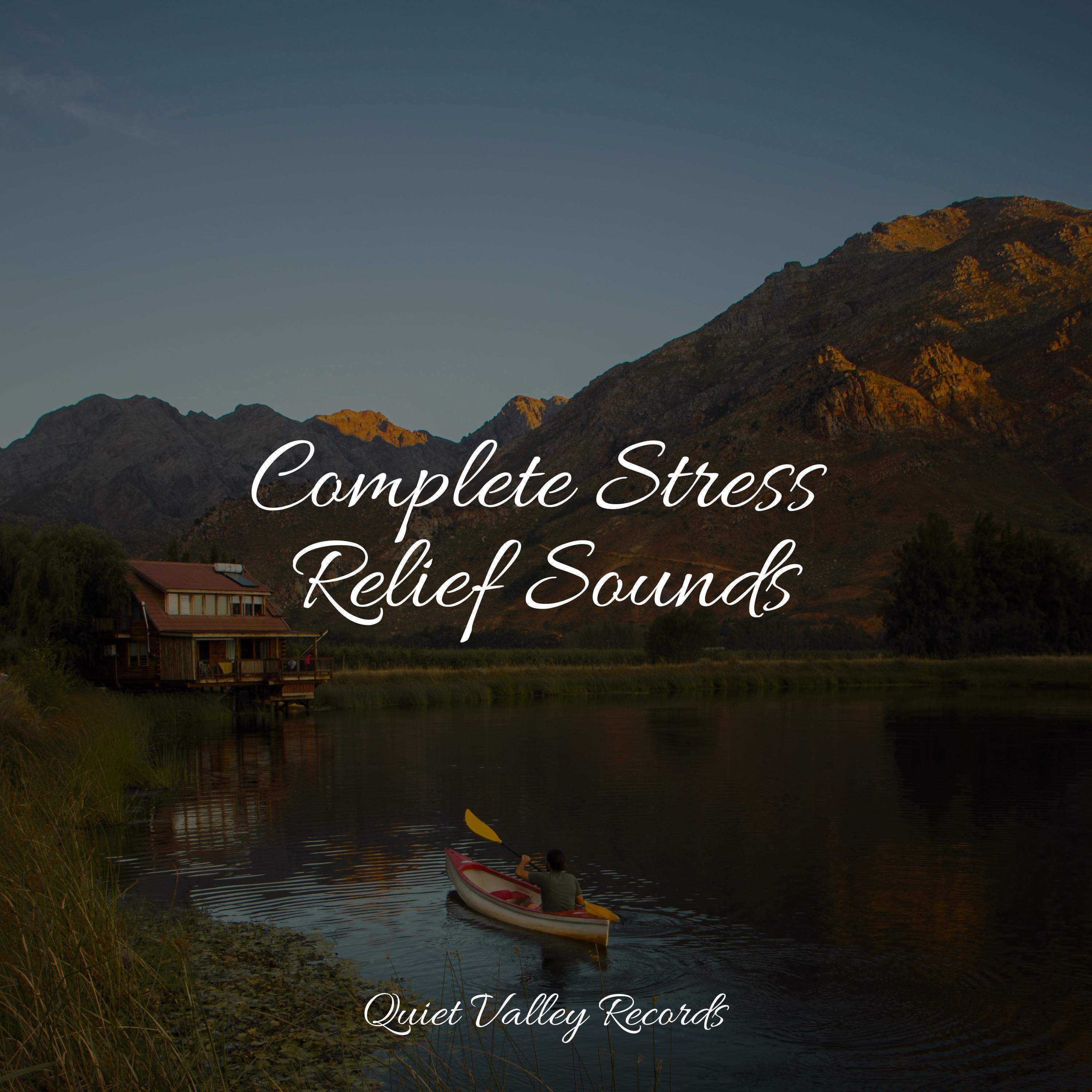Complete Stress Relief Sounds - Ocean Sounds - 专辑 - 网易云音乐