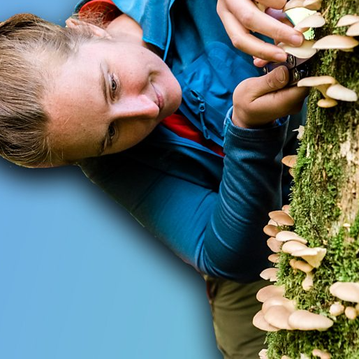 20251218-Finding and eating wild food - BBC Six Minutes English - 电台节目 ...