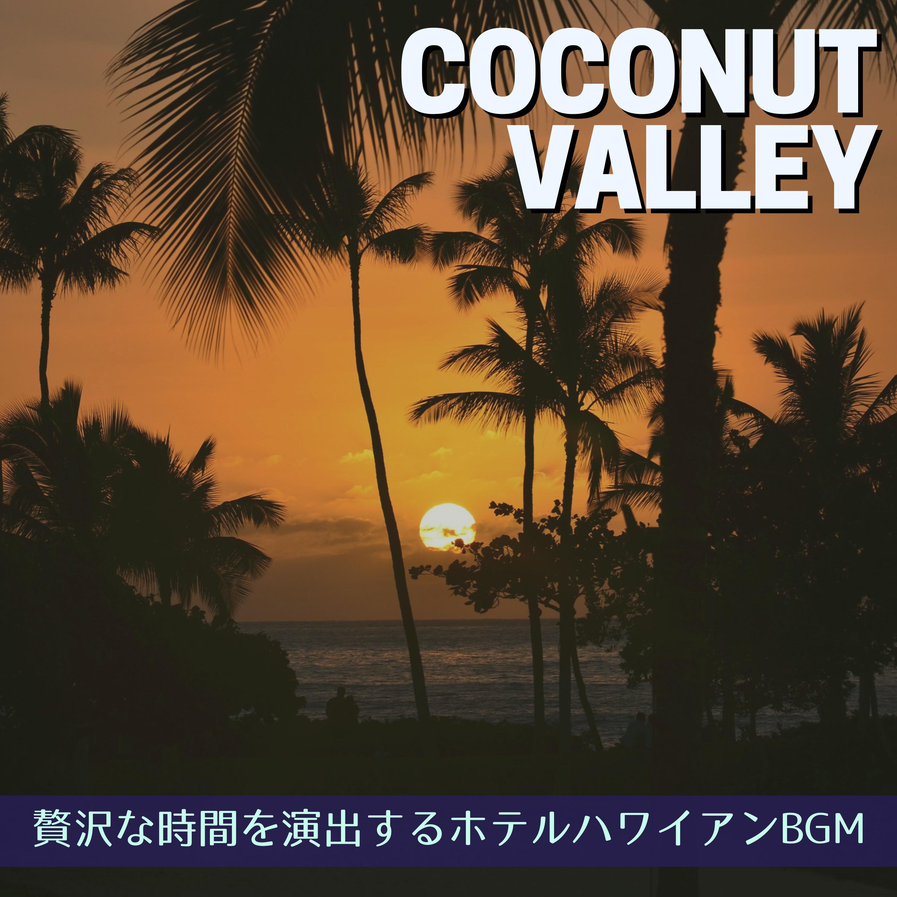 Music of Love - Coconut Valley - 单曲 - 网易云音乐