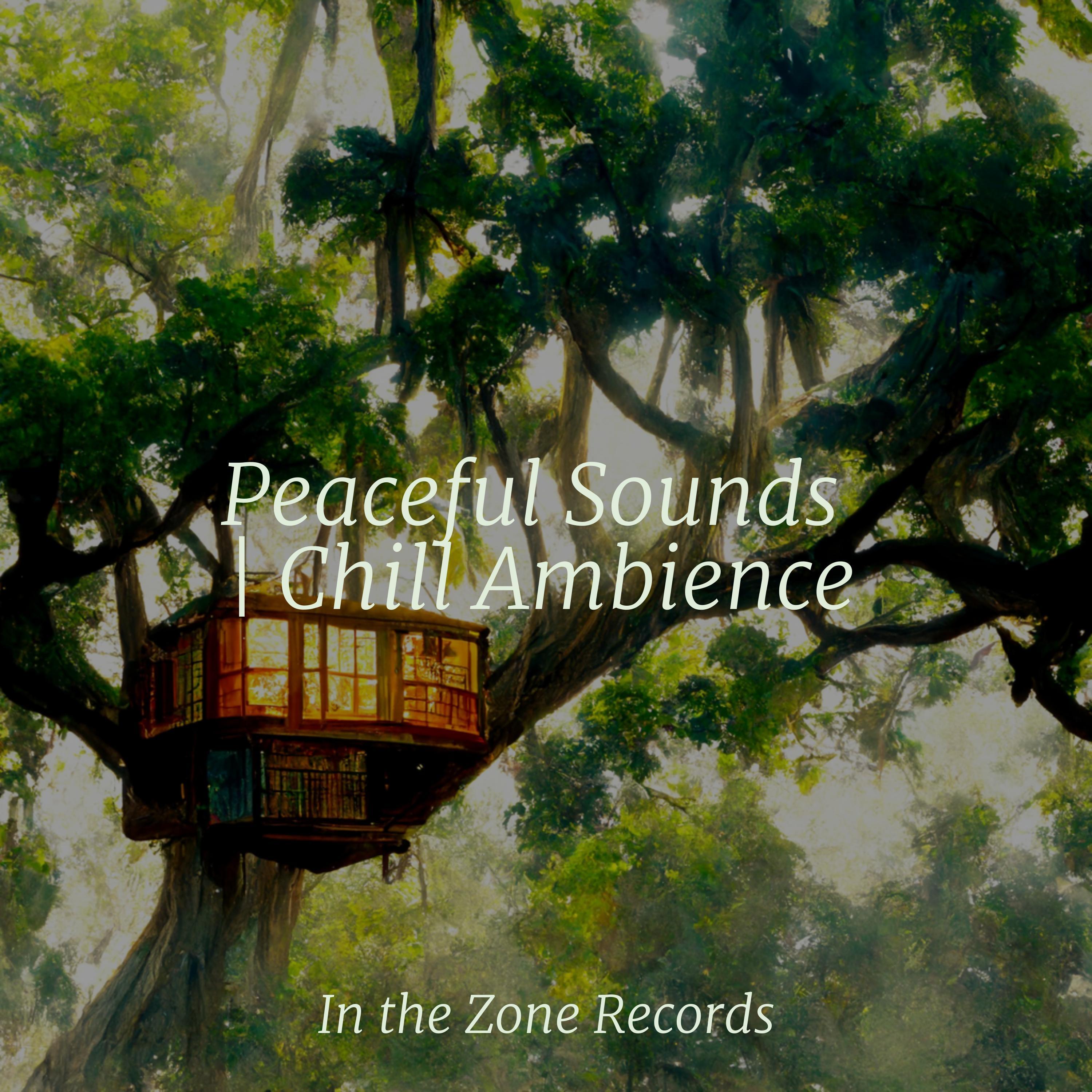 Peaceful Sounds | Chill Ambience - Meditación - 专辑 - 网易云音乐