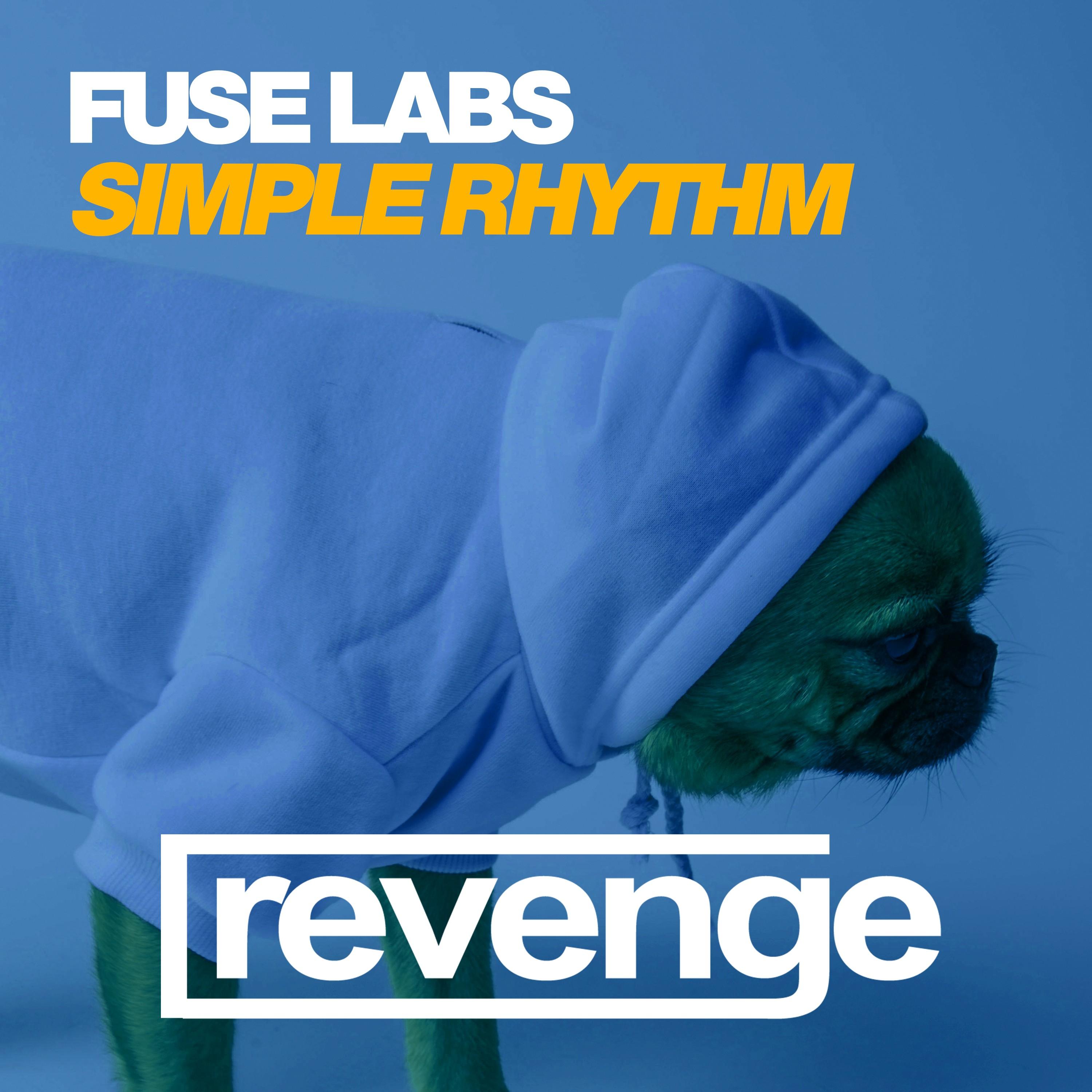 Simple Rhythm - Fuse Labs - 专辑 - 网易云音乐