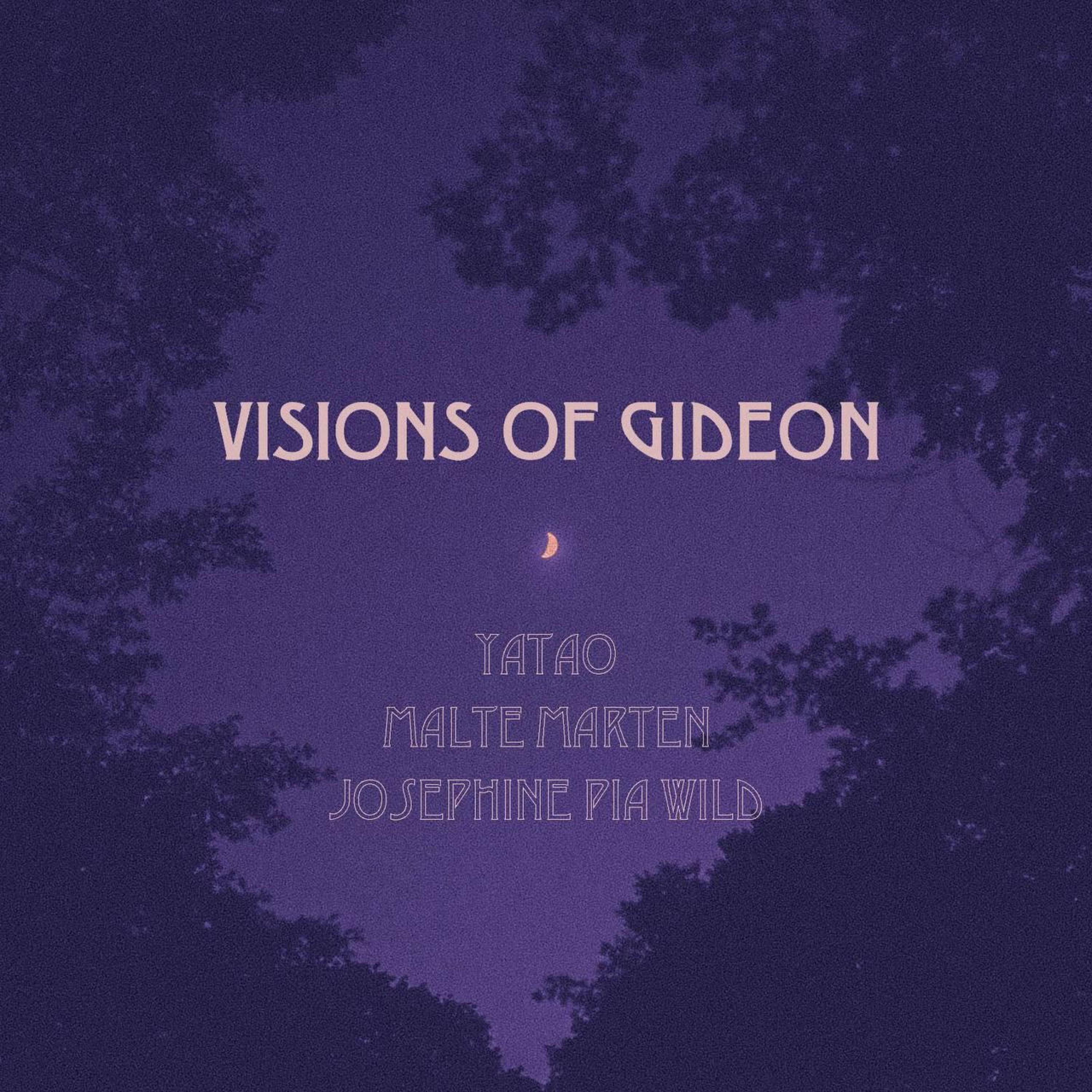 Visions of Gideon - Yatao/Malte Marten/Josephine Pia Wild - 单曲 - 网易云音乐