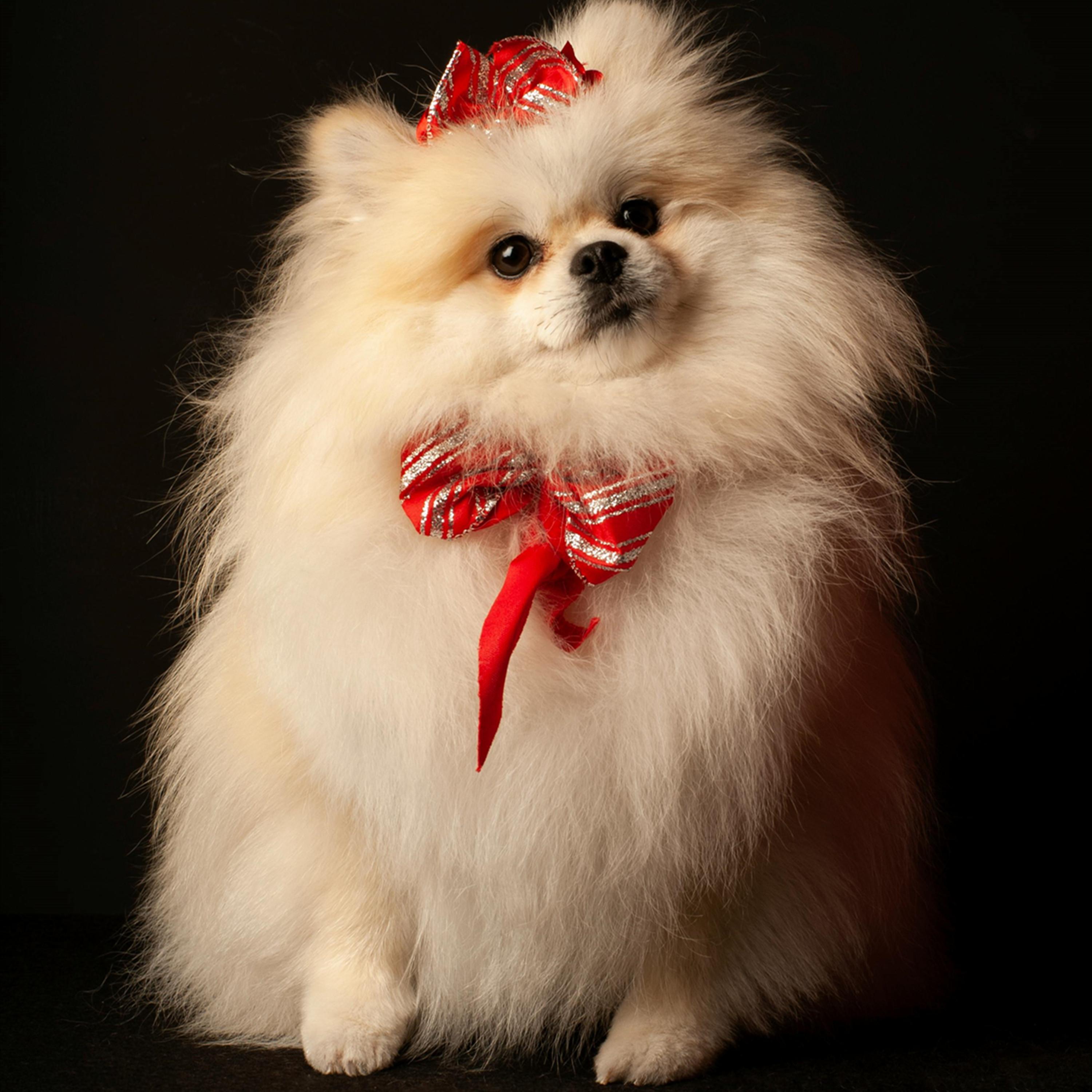 Safety - Brian Ward - 单曲 - 网易云音乐