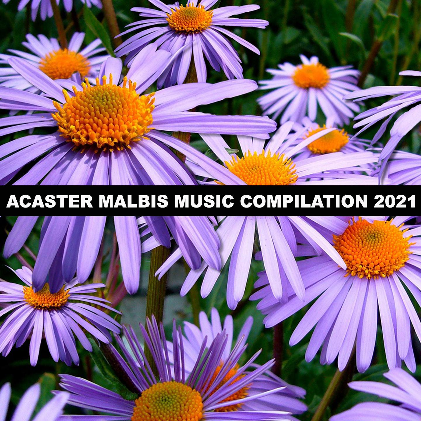 Acaster Malbis Music Compilation 2021 - Various Artists - 专辑 - 网易云音乐