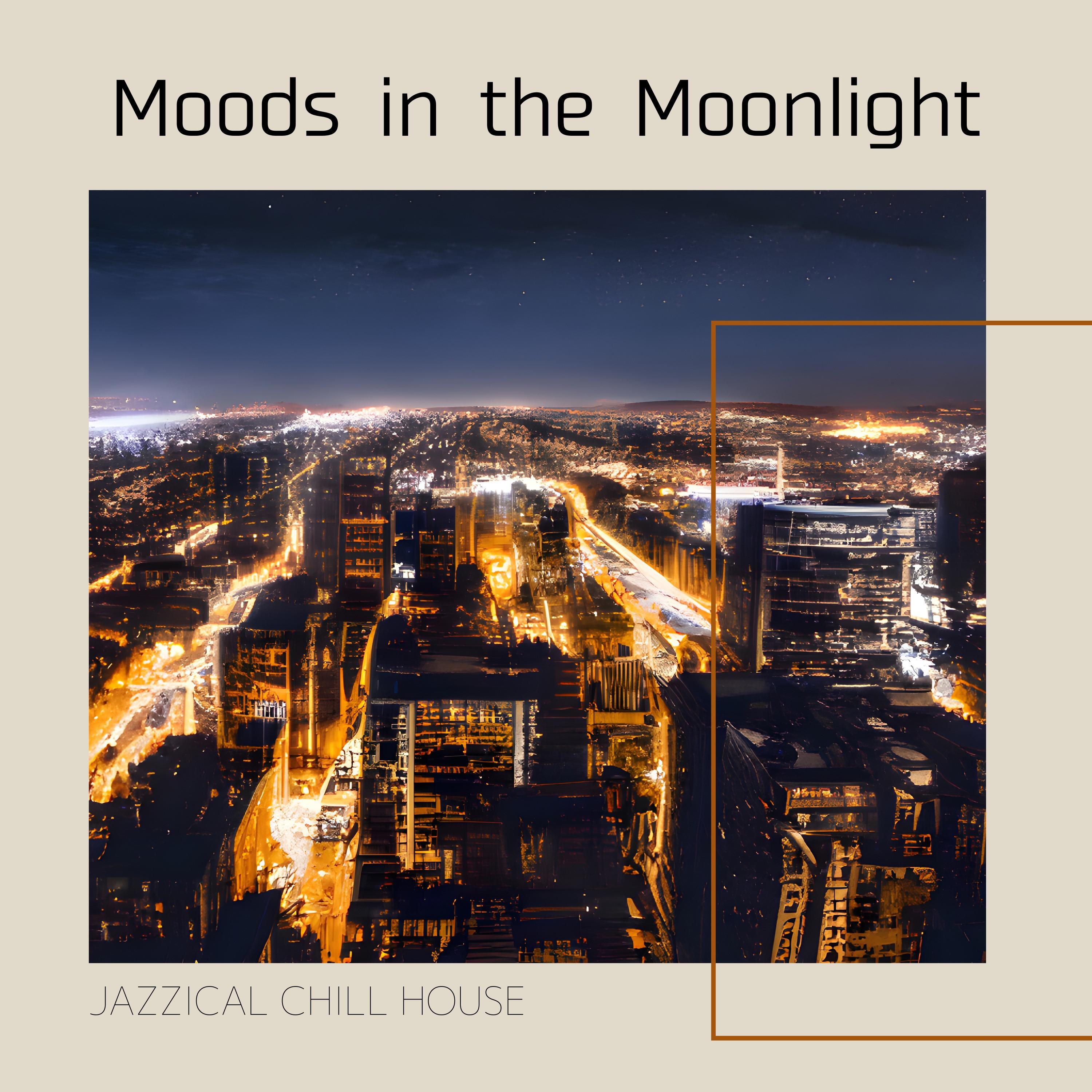 The Breeze in the Night - Jazzical Chill House - 单曲 - 网易云音乐