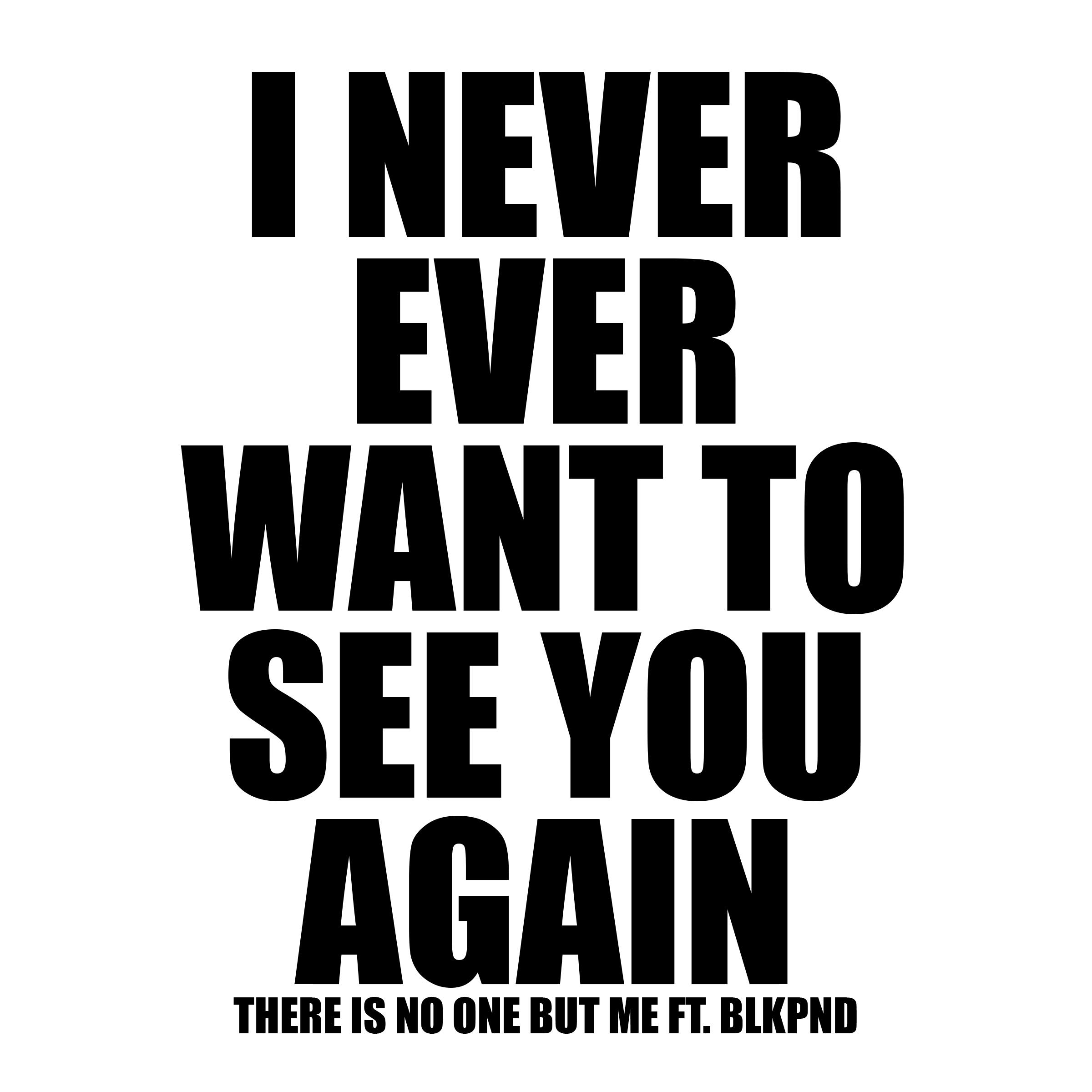 I NEVER EVER WANT TO SEE YOU AGAIN - There Is No One But Me - 专辑 - 网易云音乐