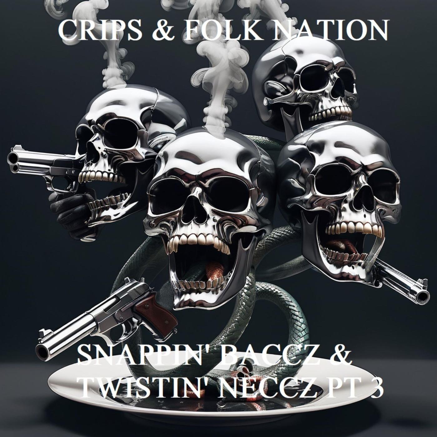 What About Dem Hoovers and Dem Hilltop Crips - Crips & Folk Nation - 单曲 ...