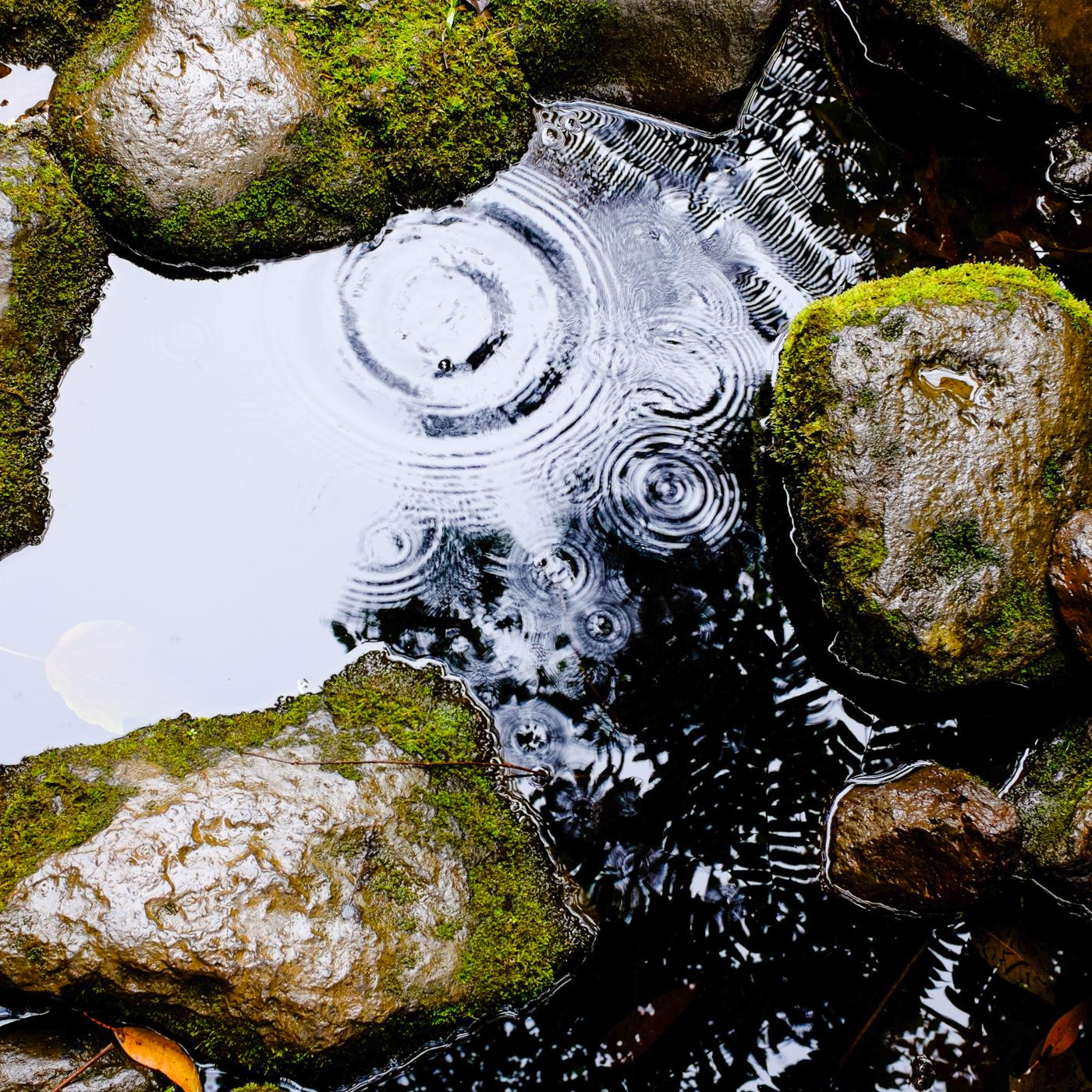 Deep Sleep Rain Sounds - Meditation Rain Sounds/Rain for Deep Sleep ...