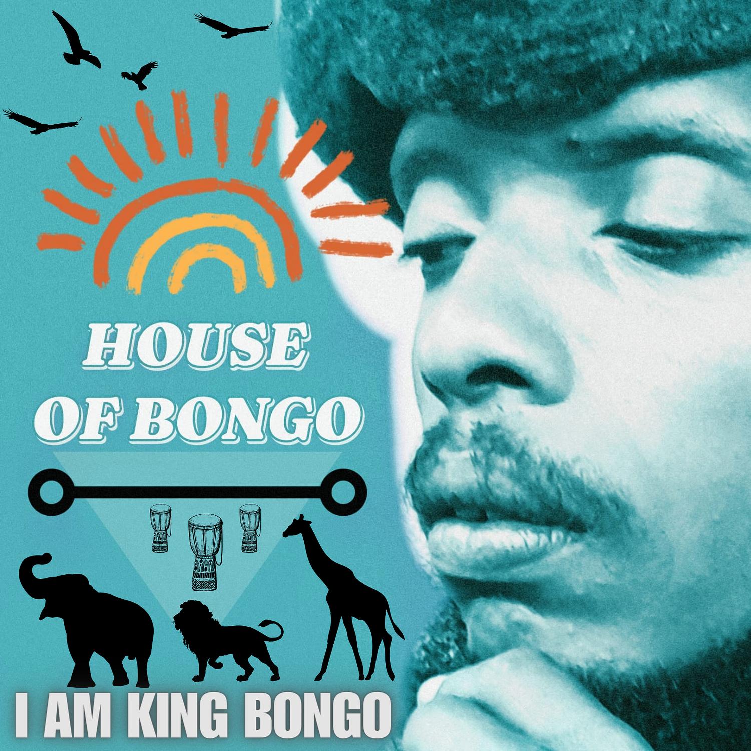 House of Bongo - I Am King Bongo - 专辑 - 网易云音乐