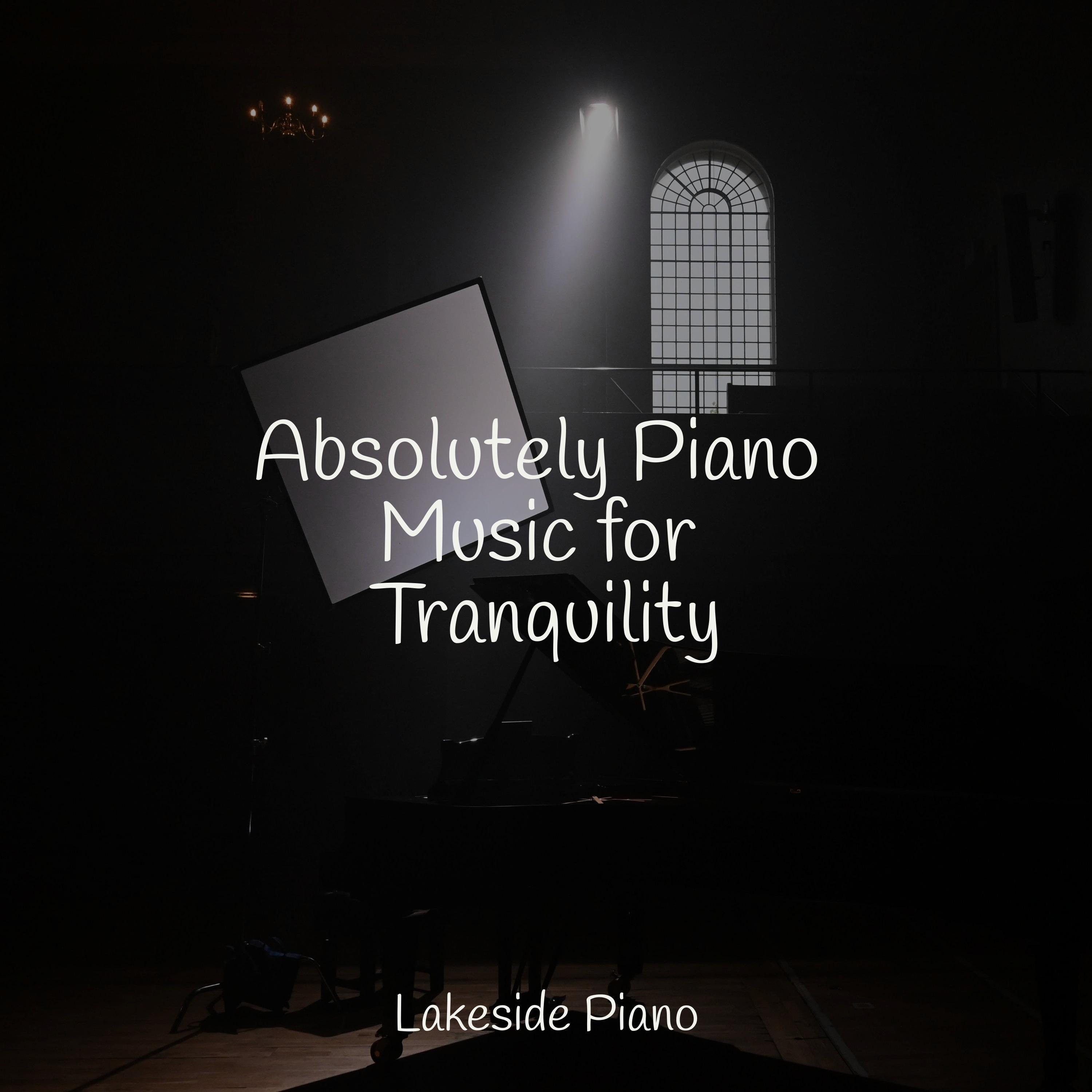 Absolutely Piano Music for Tranquility - Piano for Studying - 专辑 - 网易云音乐