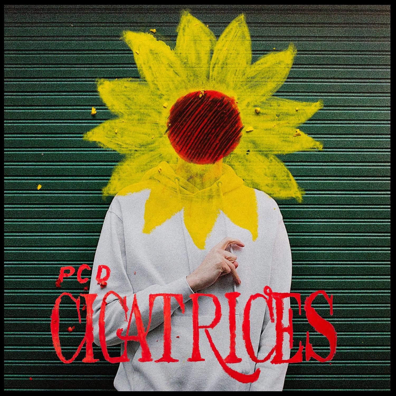 PAS LE SEUL - PCD/F!NE - 单曲 - 网易云音乐