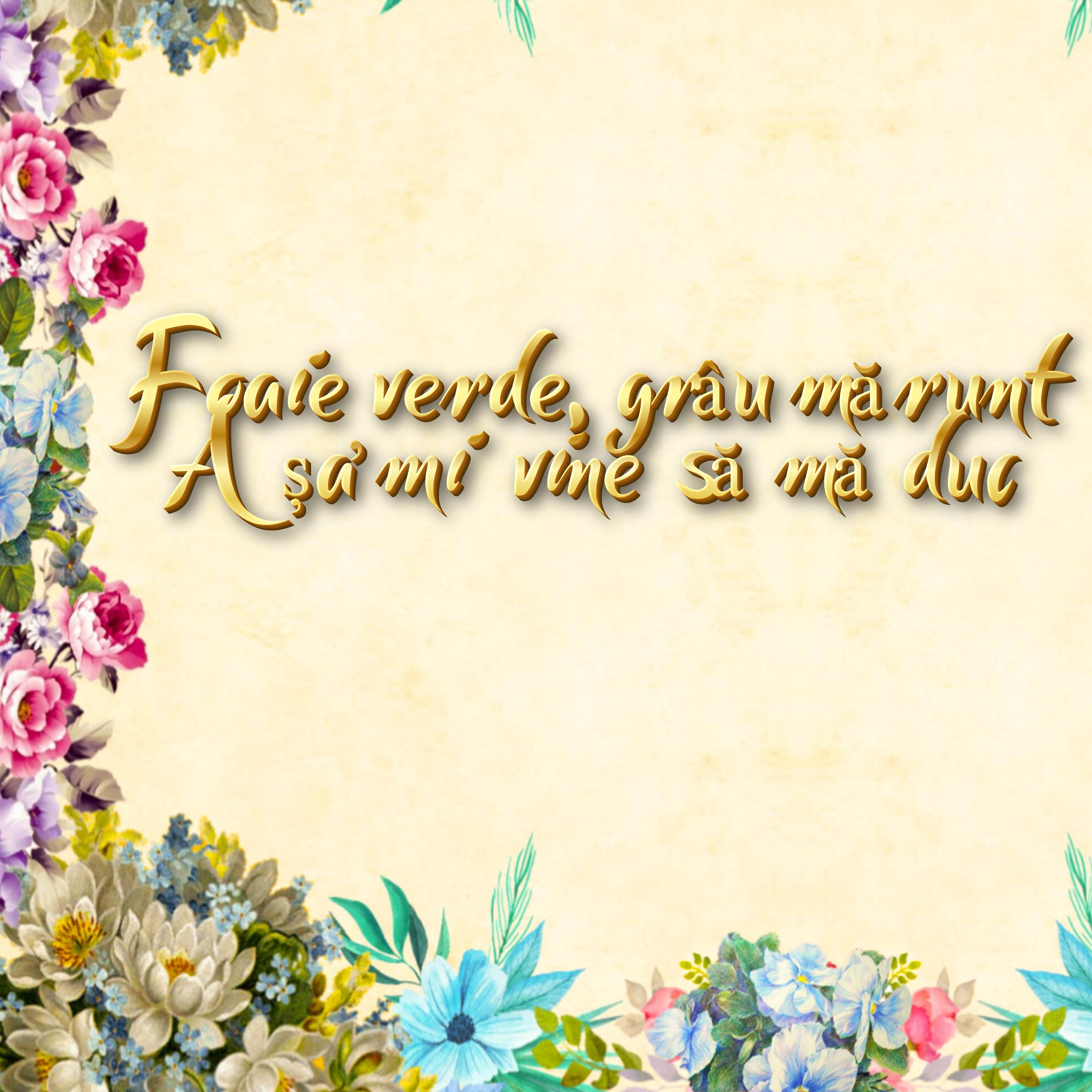 De la cernauti la vale - Muzica Moldoveneasca - 单曲 - 网易云音乐