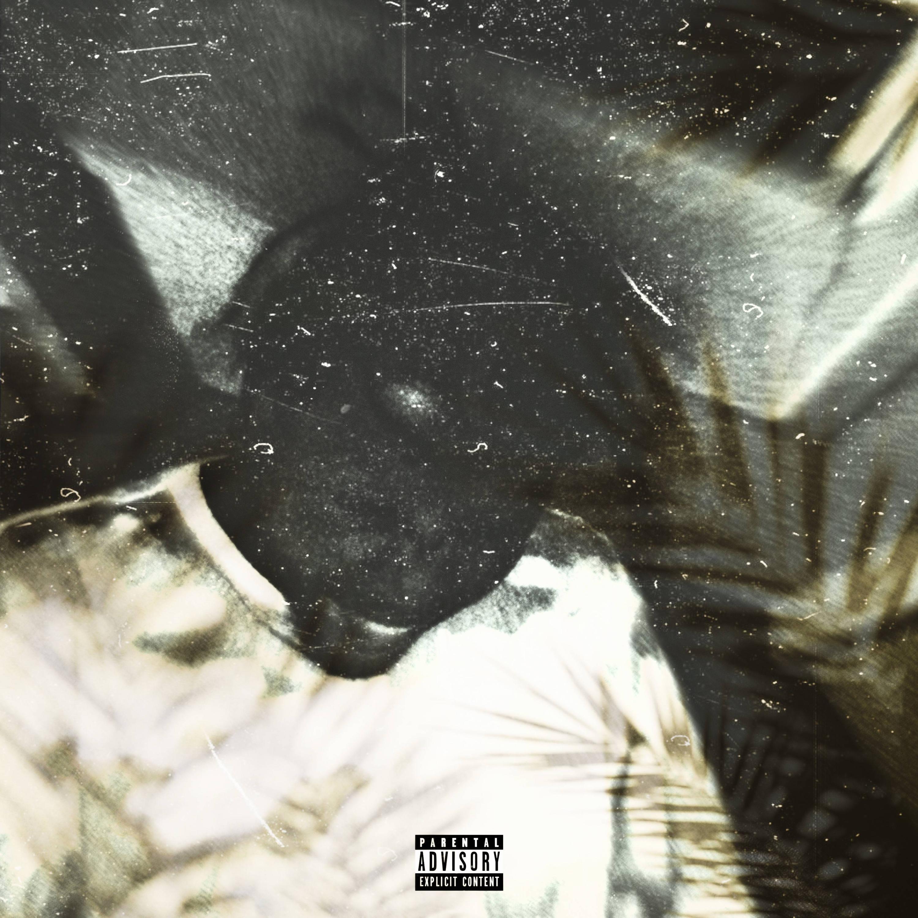 GOIN CRAZY - Lil Camelot - 专辑 - 网易云音乐