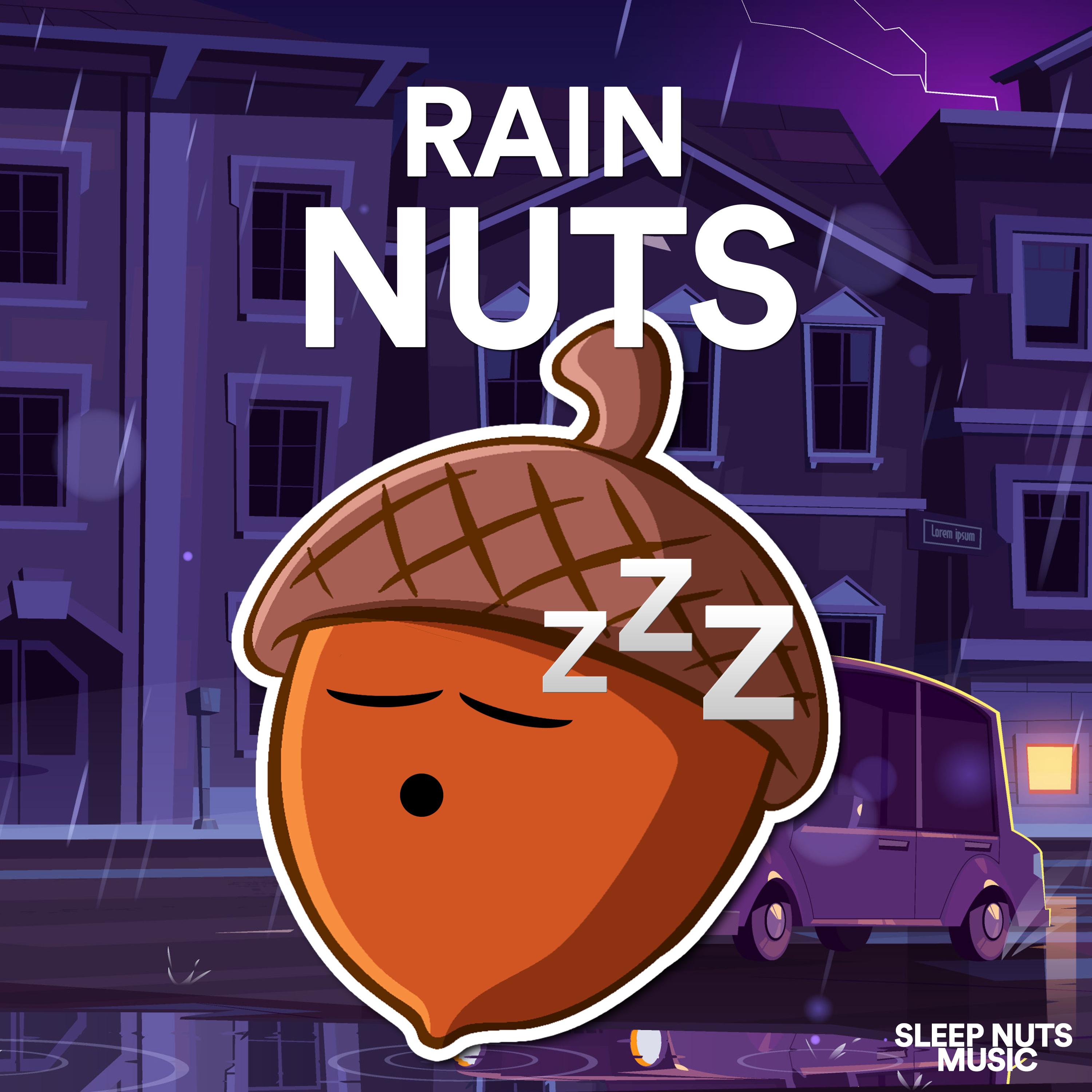 Rain Meditation, Pt. 156 - Sleep Nuts Music - 单曲 - 网易云音乐