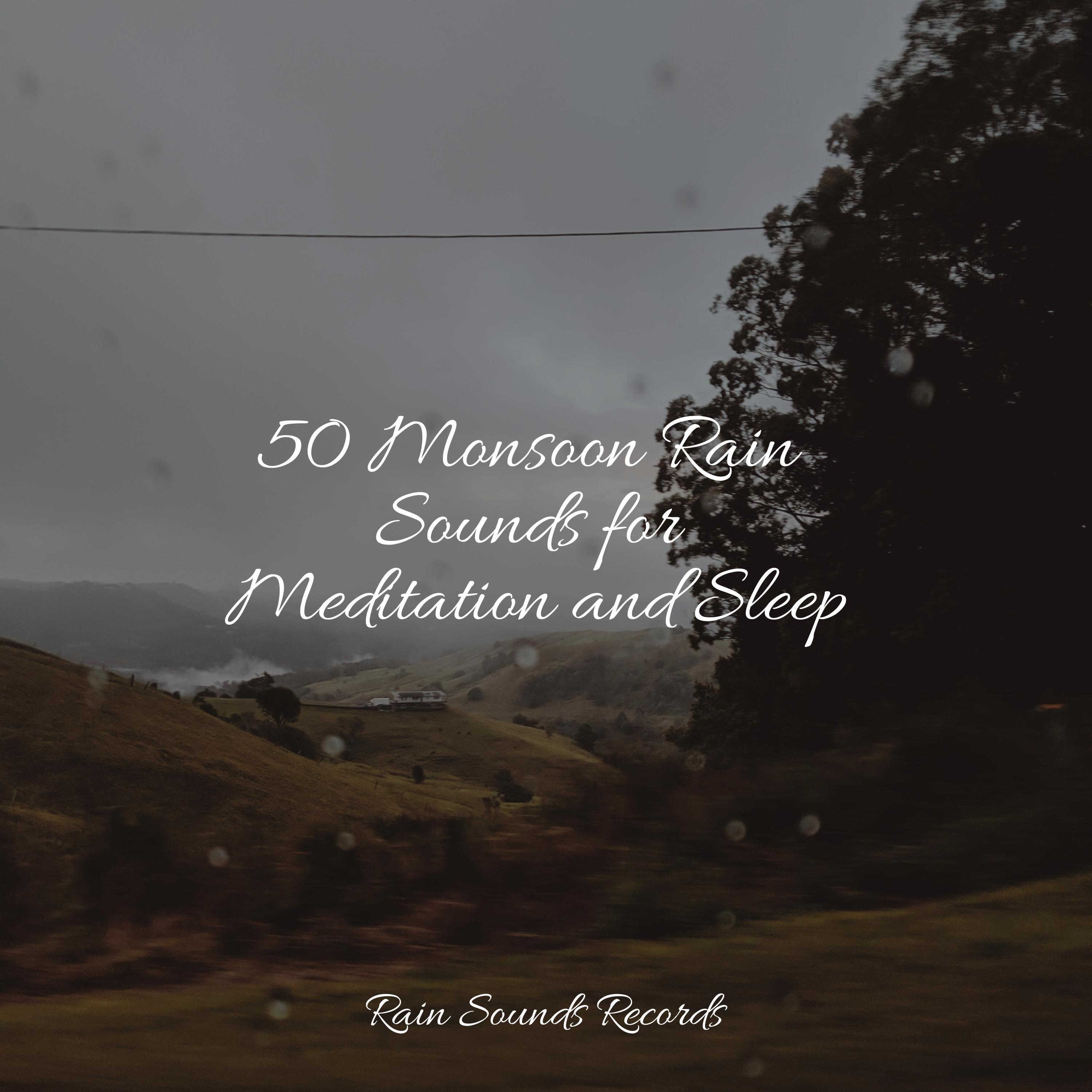 50 Monsoon Rain Sounds for Meditation and Sleep - White Noise For Baby ...