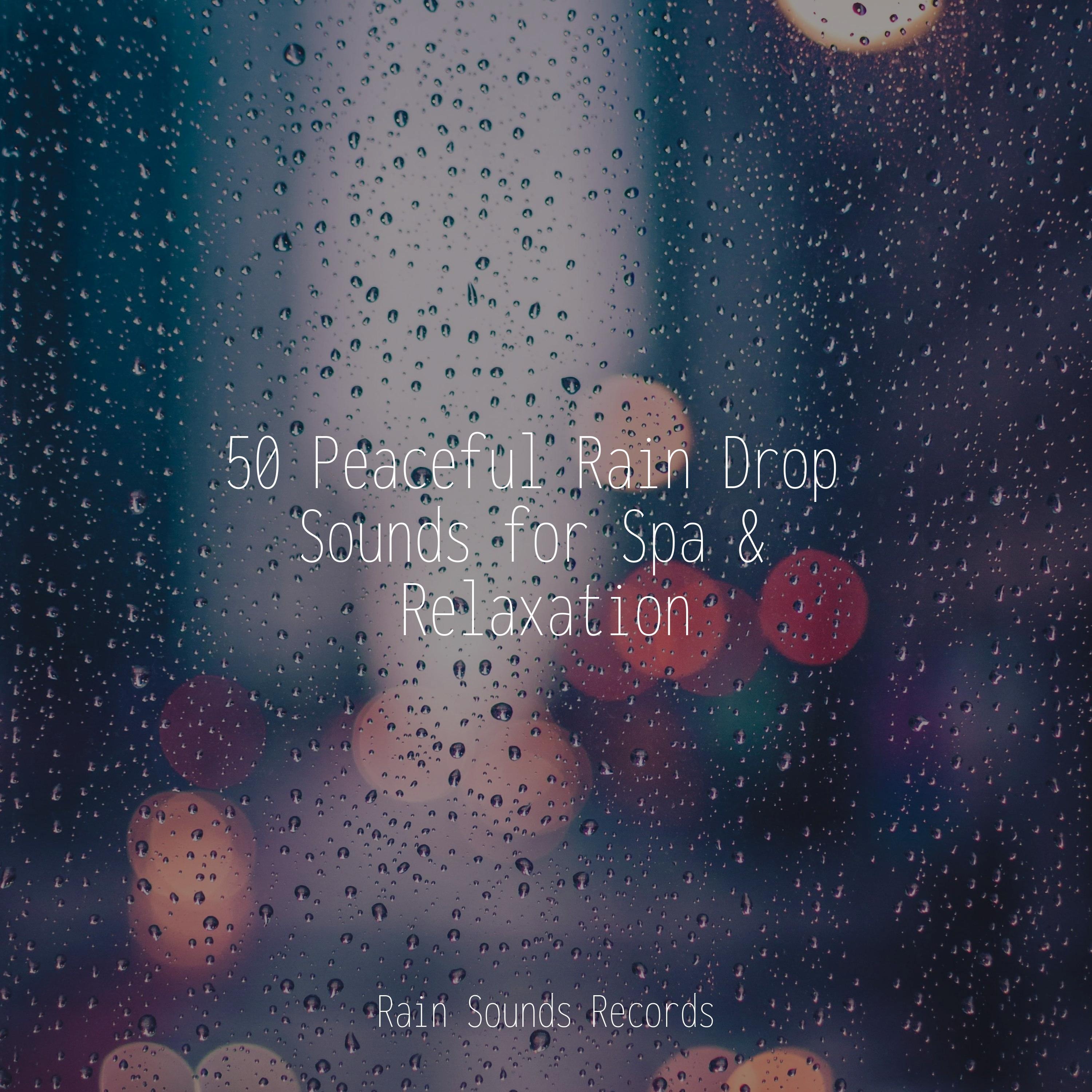 50 Peaceful Rain Drop Sounds for Spa & Relaxation - Ambient - 专辑 - 网易云音乐