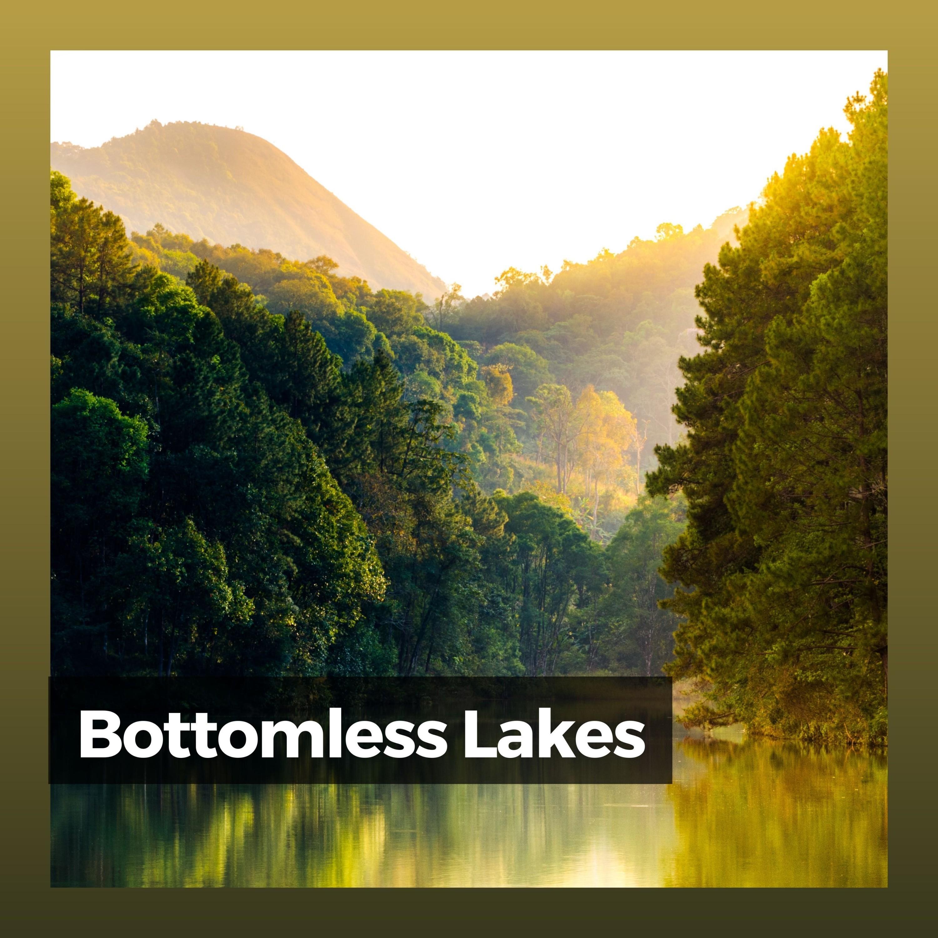 Cardinals in the Shrubs - Swedish Forest Birds - 单曲 - 网易云音乐