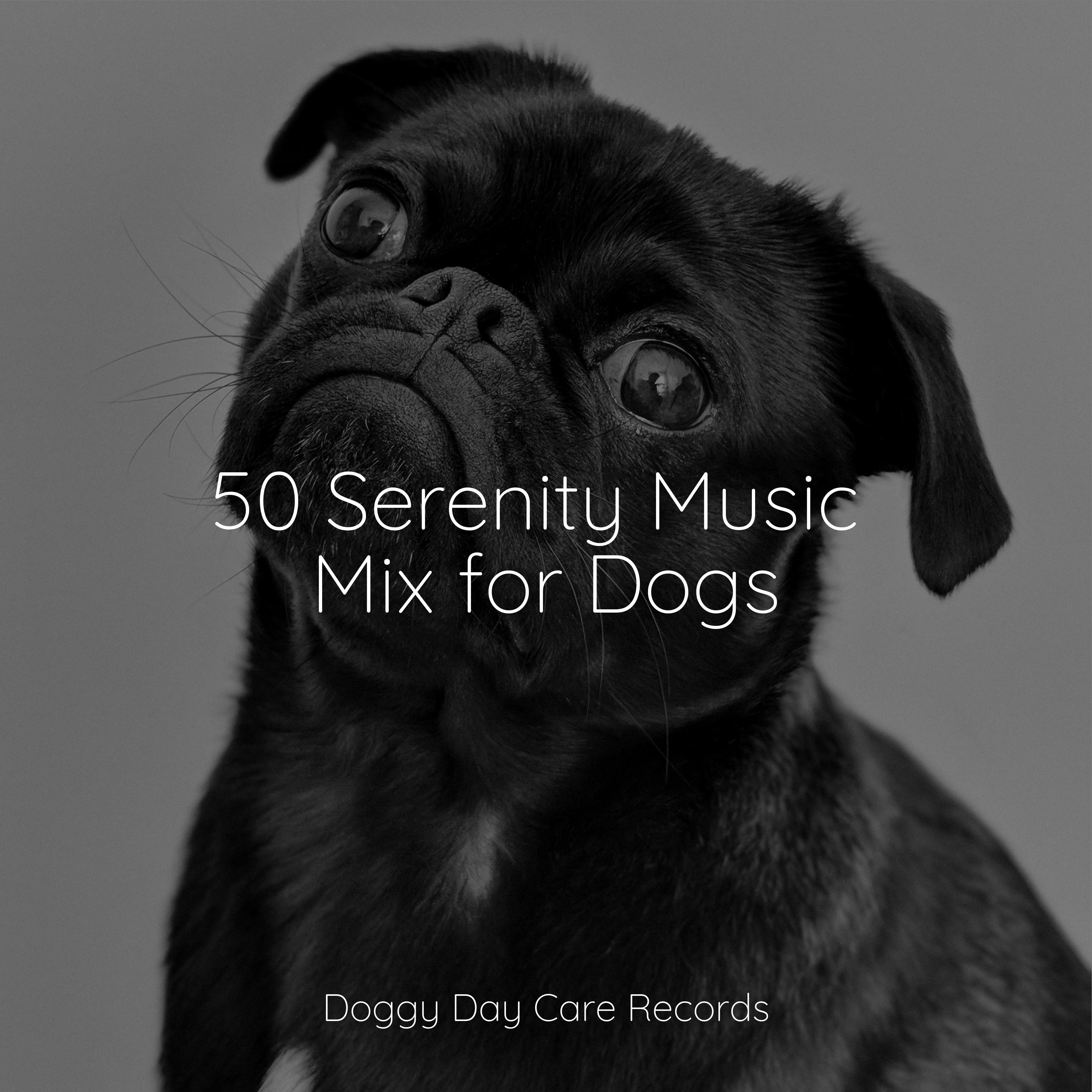 O2 - Music For Dogs/Sleeping Music For Dogs/Music for Calming Dogs - 单曲 ...