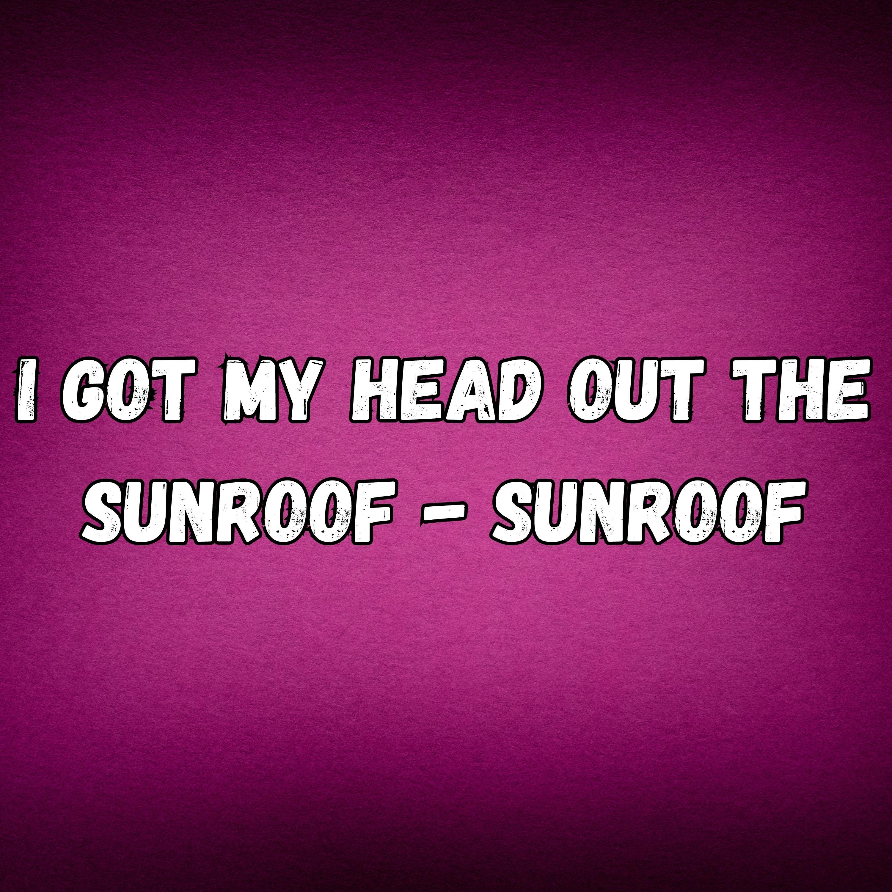 I Got My Head Out the Sunroof (Sunroof) - Glenn Callin - 单曲 - 网易云音乐