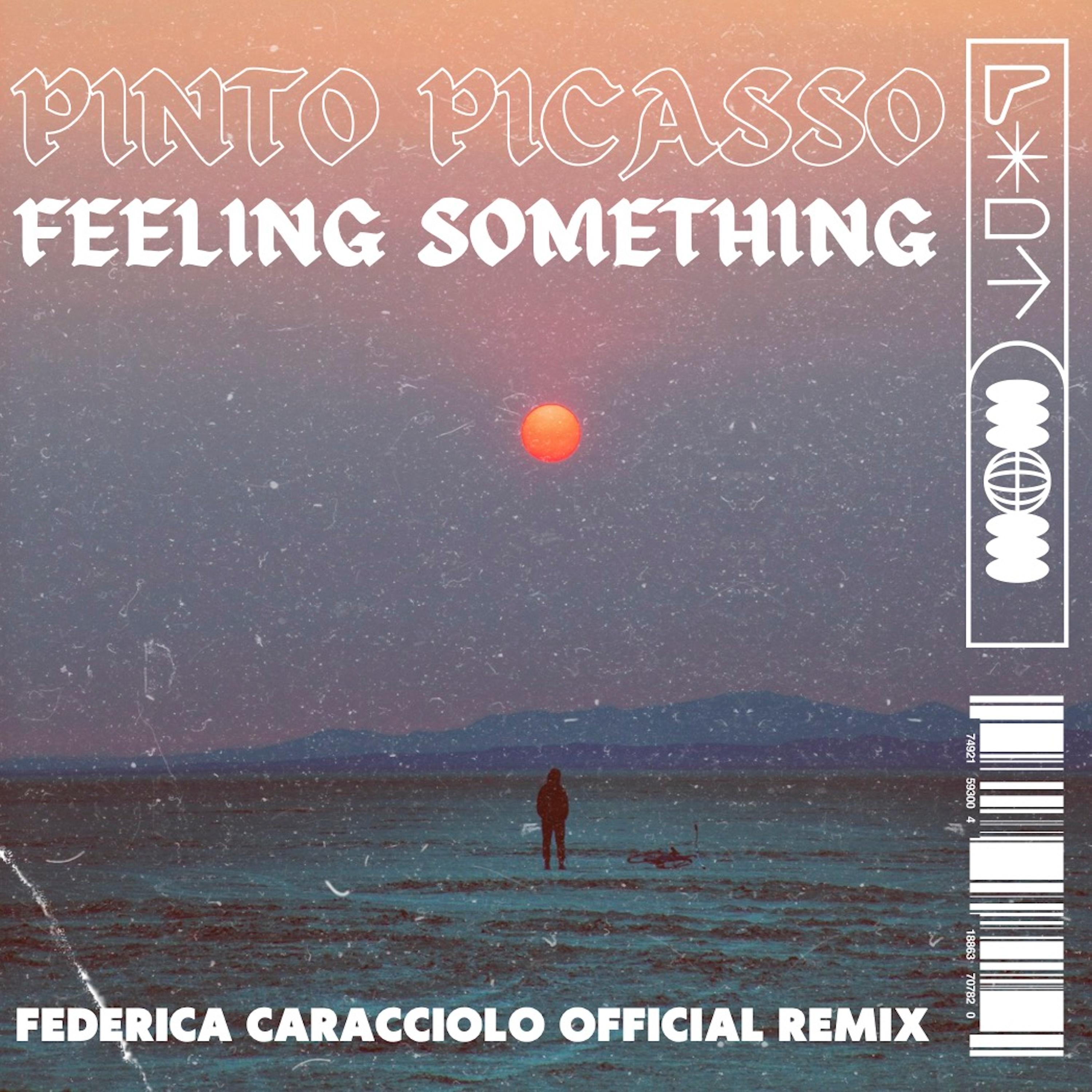 Feeling Something (Instrumental) - Pinto Picasso/Federica Caracciolo ...