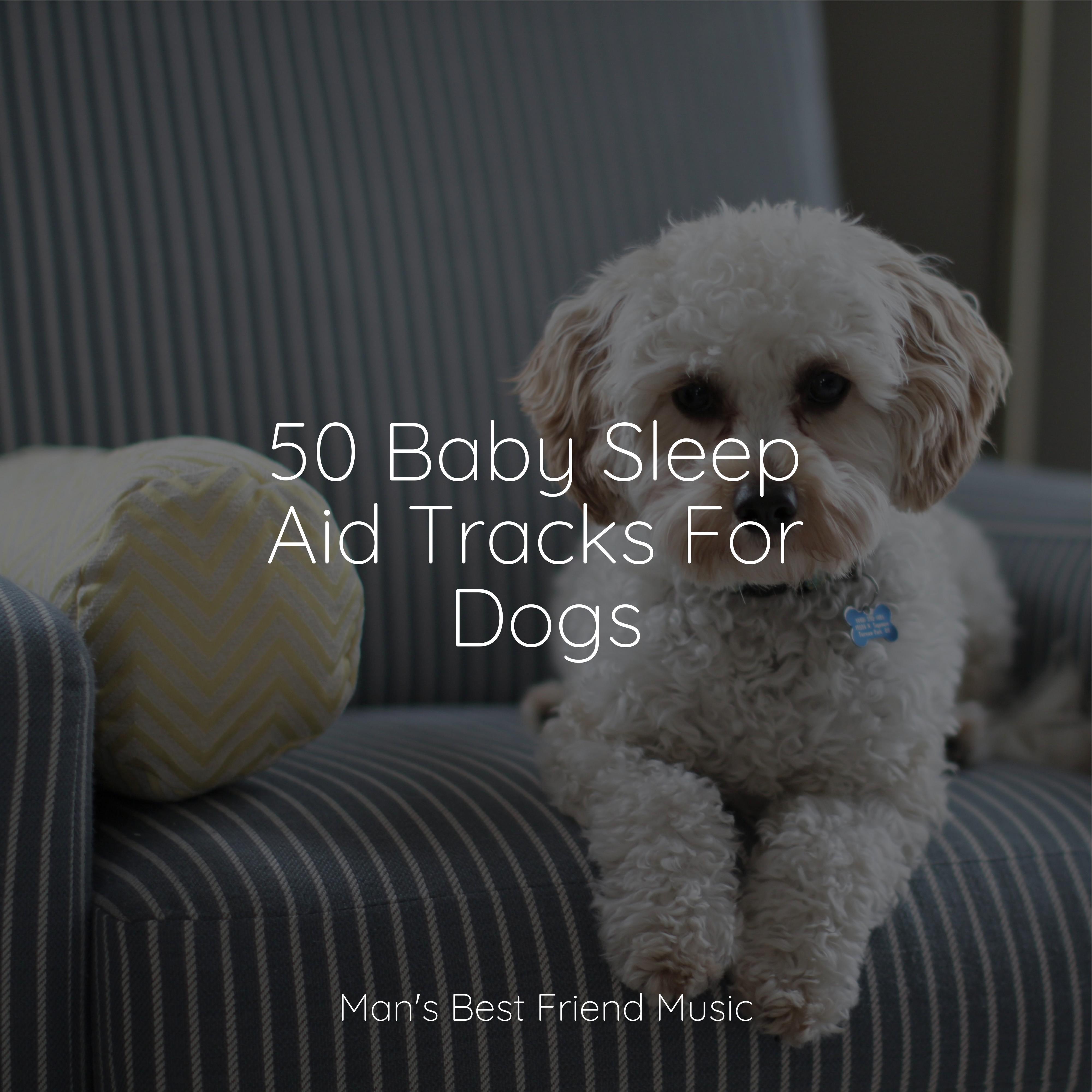Calm - Sleeping Music For Dogs/Music for Calming Dogs/Jazz Music ...