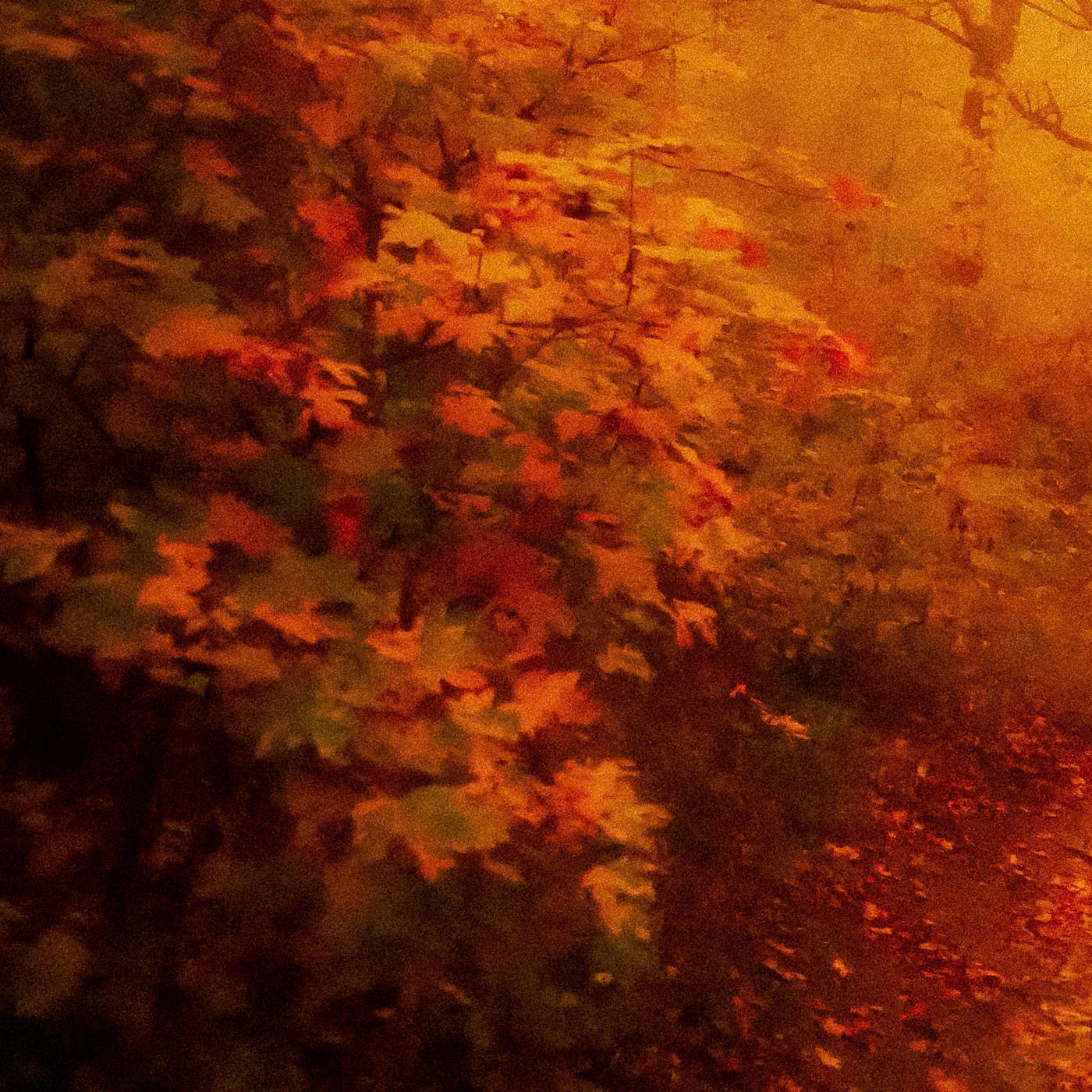 Brahms - Music for Sleep/Sleep Waves/Baby Lullaby - 单曲 - 网易云音乐