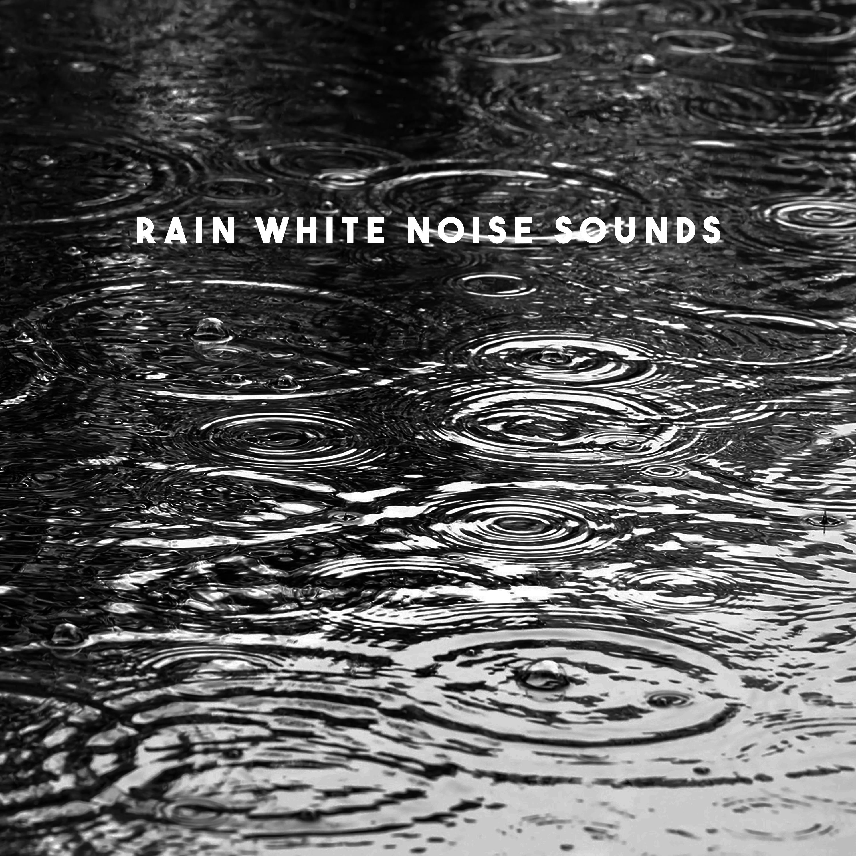 Rain White Noise Sounds - Rain Sounds Nature Collection - 专辑 - 网易云音乐