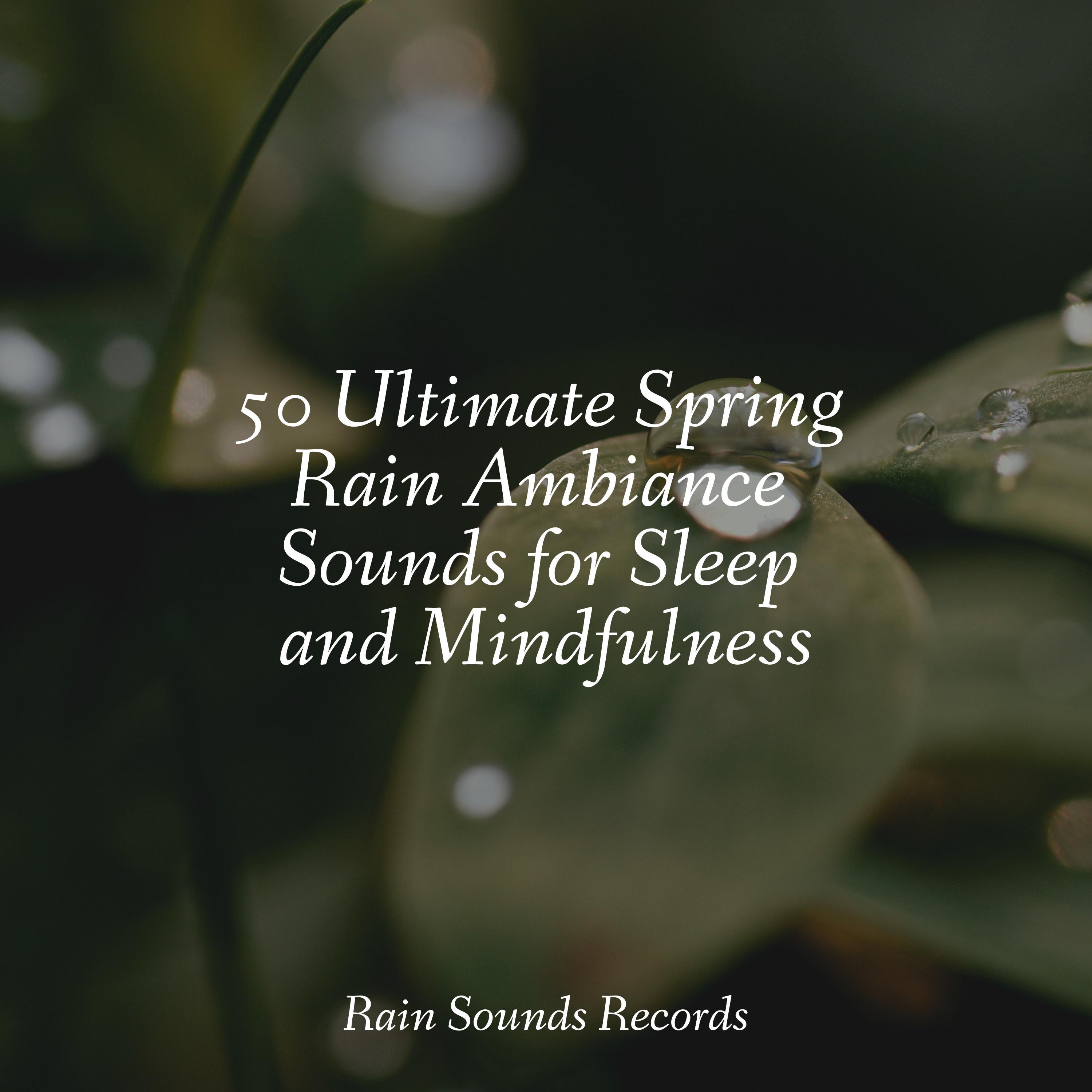 50 Ultimate Spring Rain Ambiance Sounds for Sleep and Mindfulness ...