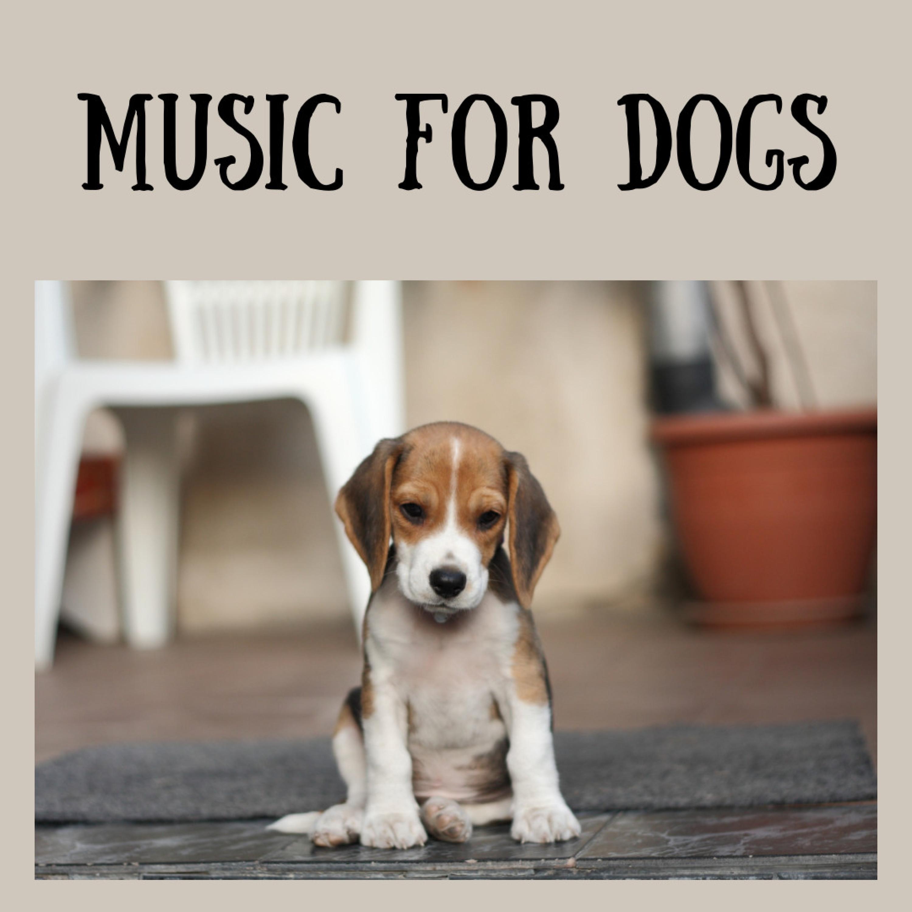 Snoozing in Paradise - Music For Dogs/Music For Dogs Peace/Relaxing ...