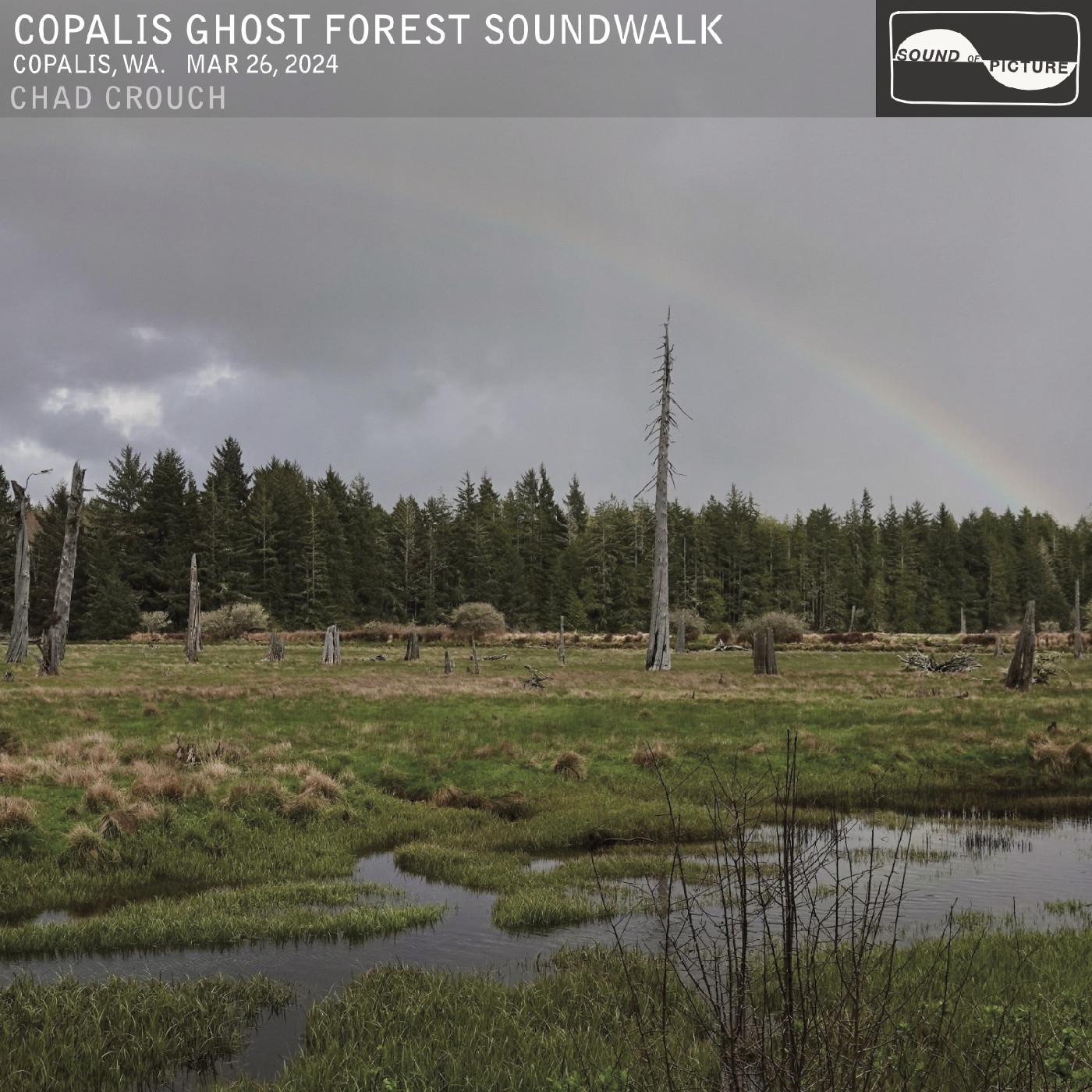 Copalis Ghost Forest Soundwalk - Chad Crouch - 专辑 - 网易云音乐