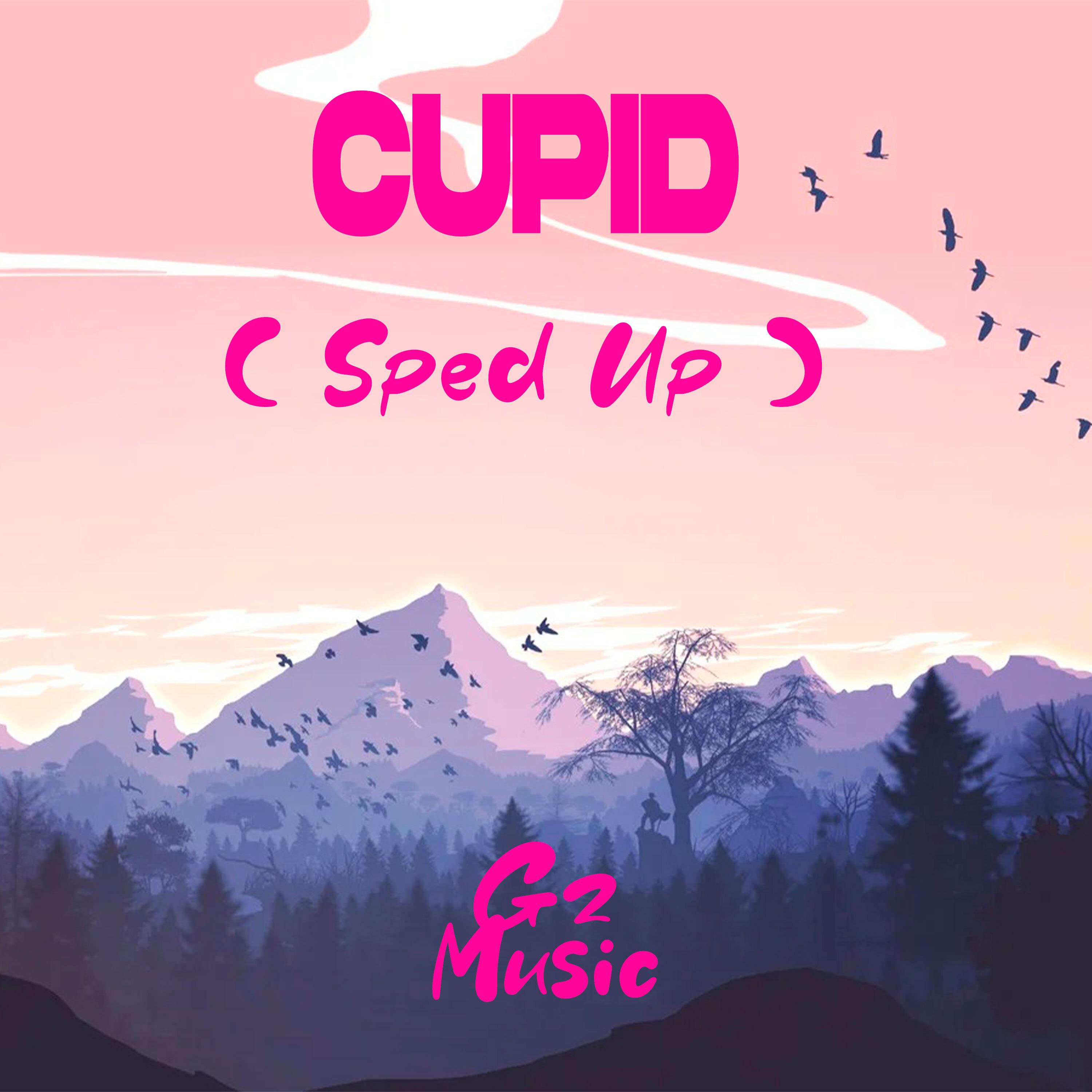 Cupid (Remix)（爱神丘比特） - Gz Music - 单曲 - 网易云音乐